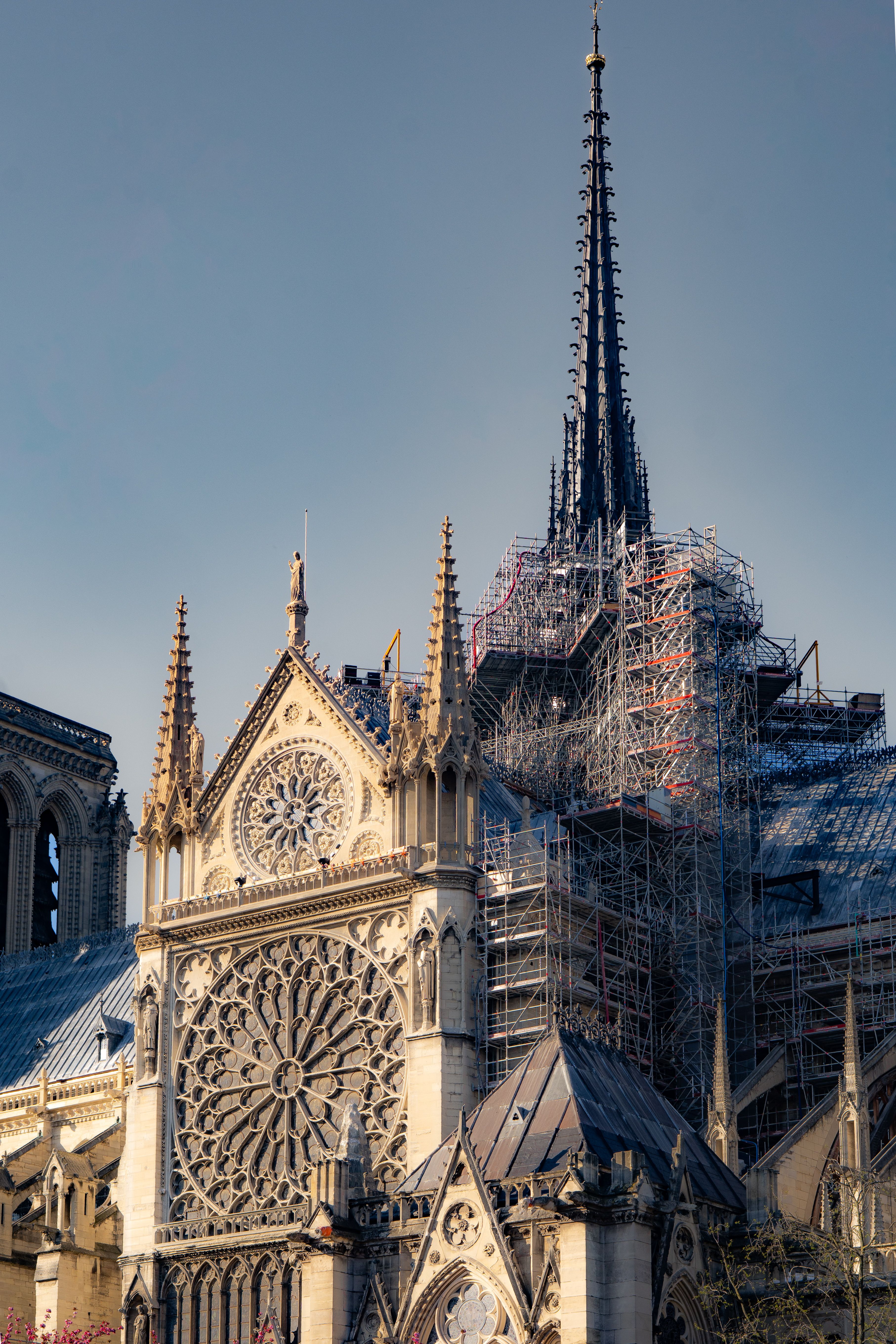 Notre Dame Cathedral Restoration in Paris · Free Stock Photo