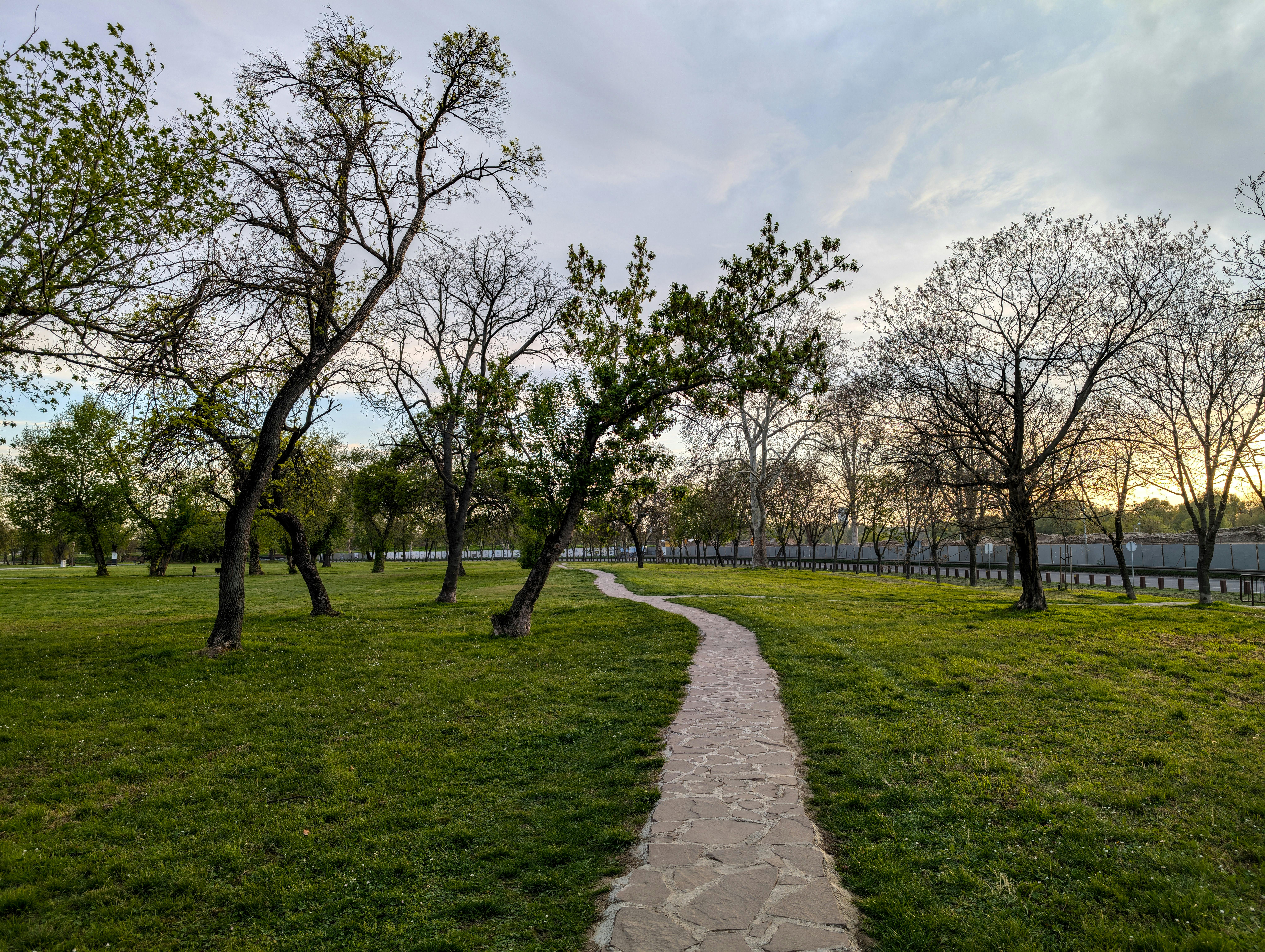 Scenic Sunset Pathway in a Park · Free Stock Photo