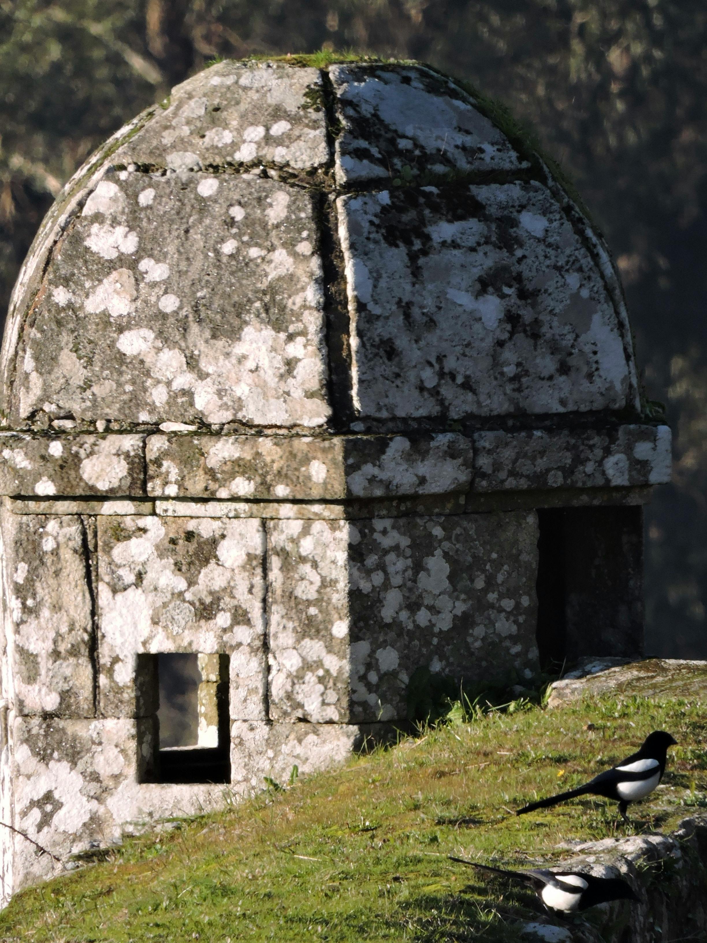 Historic Stone Structure with Two Magpies · Free Stock Photo