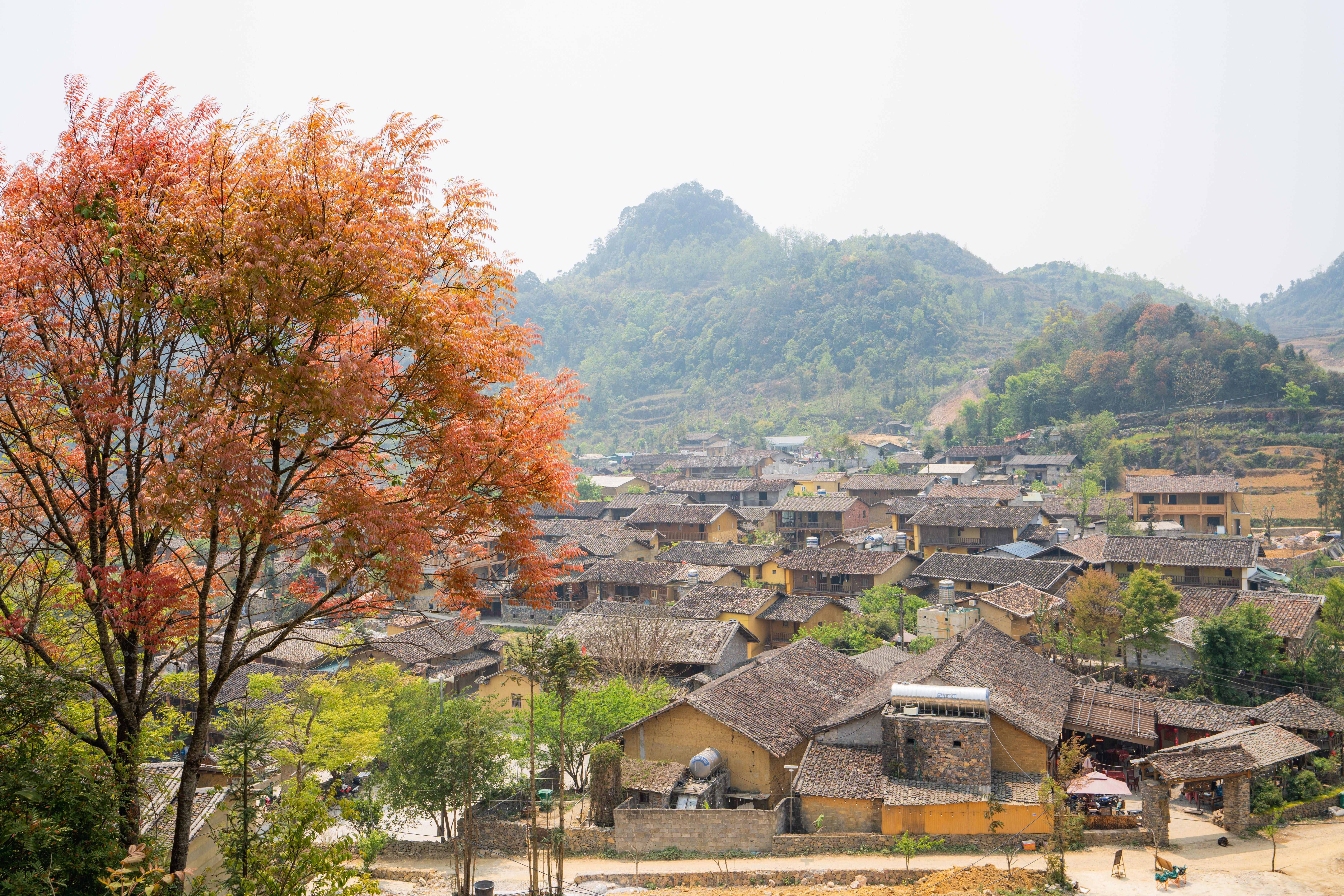 Scenic Rural Village with Autumn Foliage · Free Stock Photo