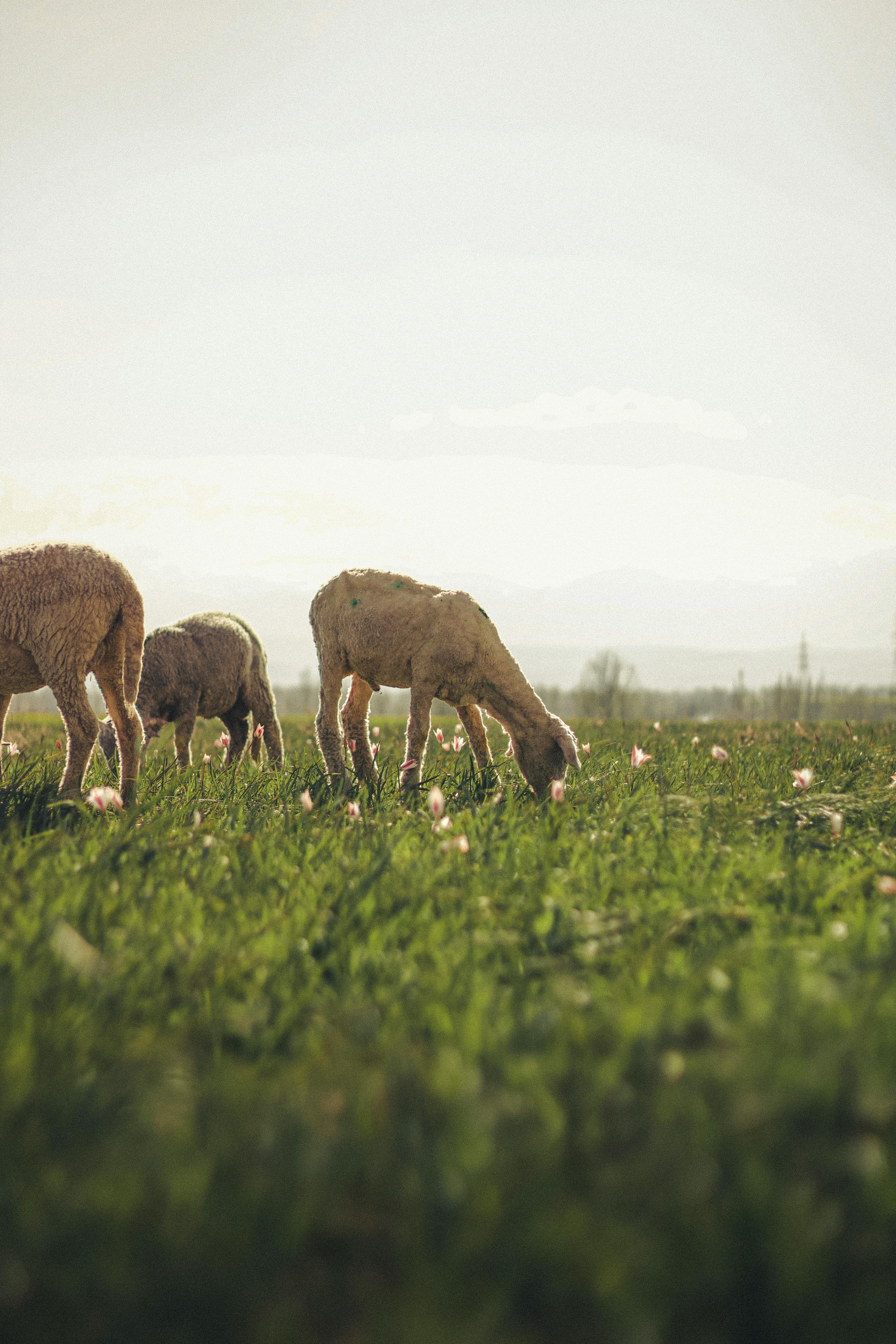 Roblox Still Photos, Download The BEST Free Roblox Still Stock Photos ...