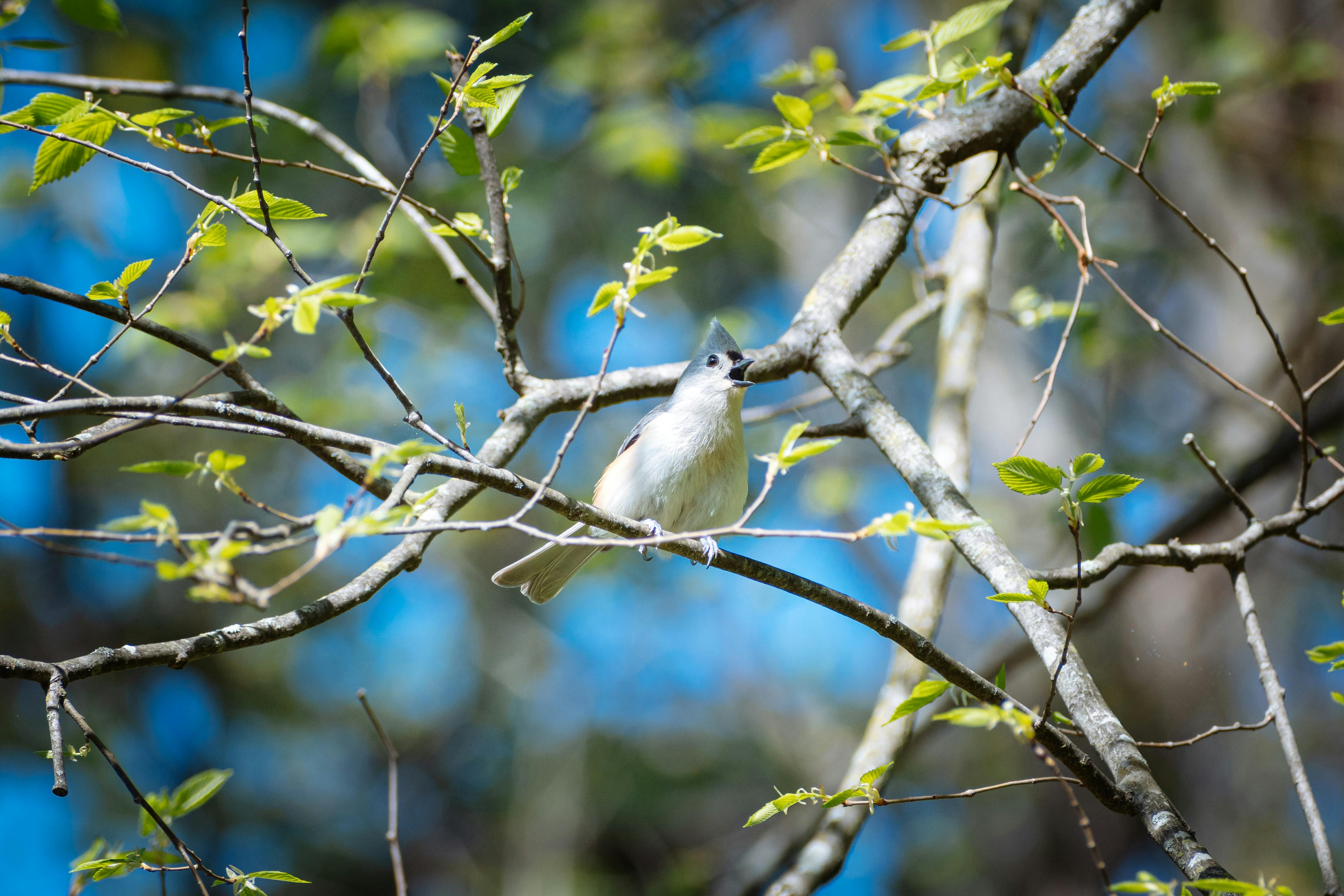 Plumber Atlanta Photos, Download The BEST Free Plumber Atlanta Stock ...