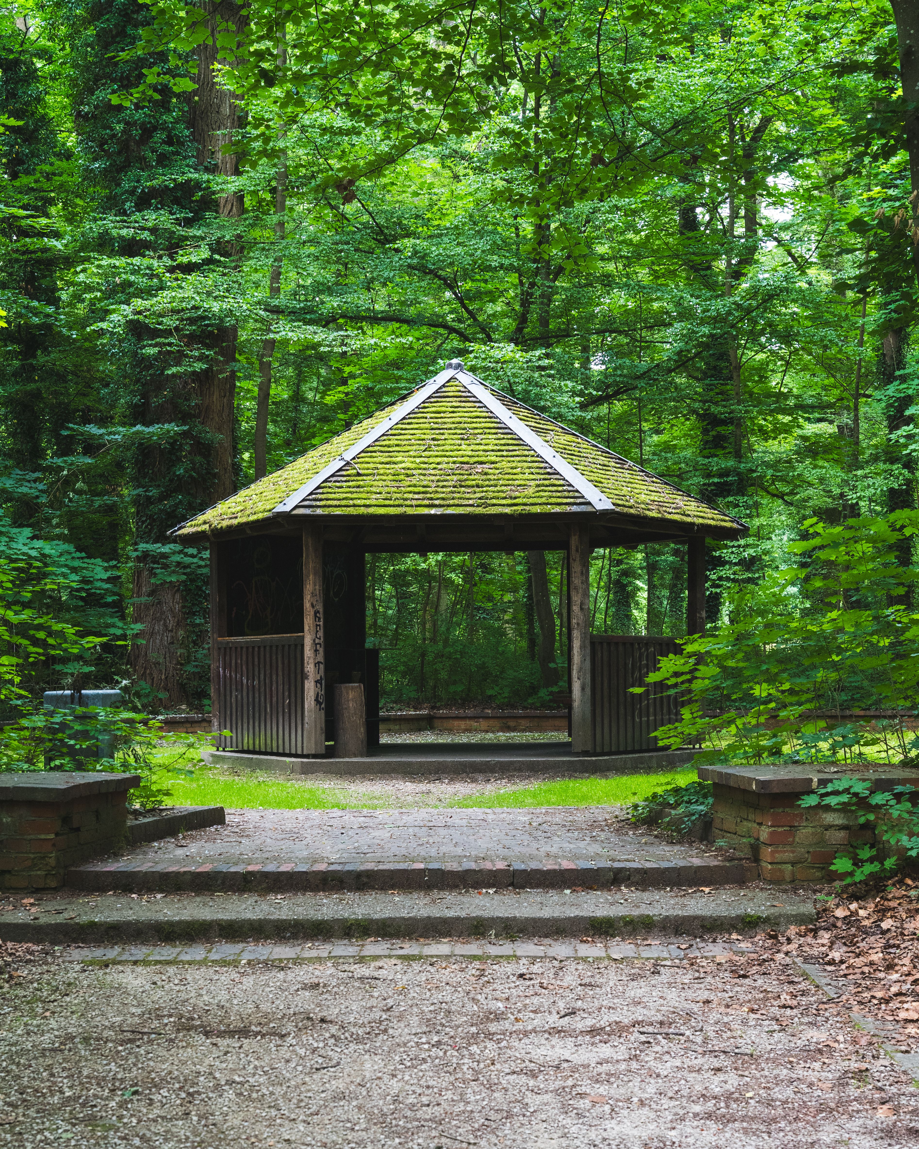 Tranquil Green Forest Gazebo in Summer Light · Free Stock Photo