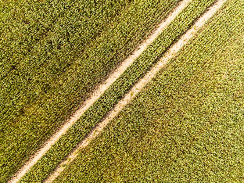 Pathways Photos, Download The BEST Free Pathways Stock Photos & HD Images