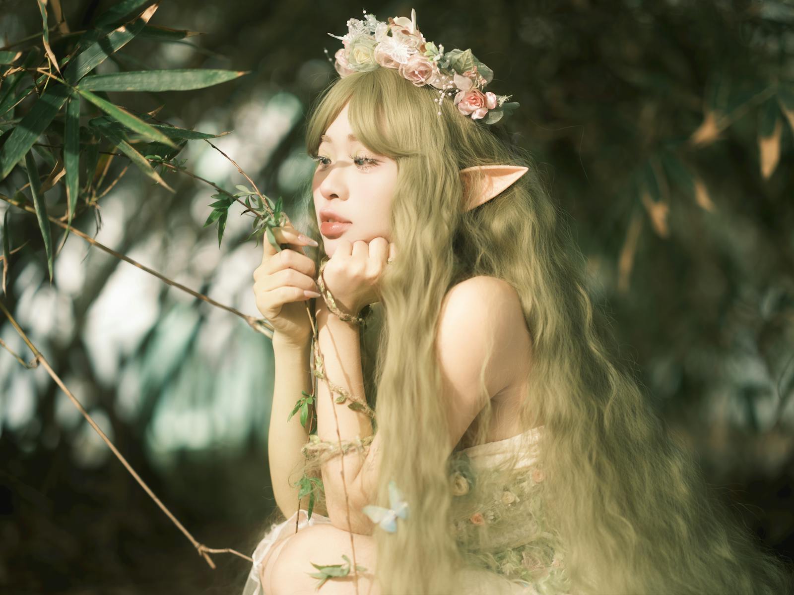 Elf Photos, Download The BEST Free Elf Stock Photos & HD Images