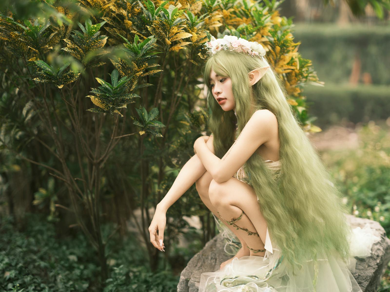 Cartoon Elf Photos, Download The BEST Free Cartoon Elf Stock Photos & HD Images