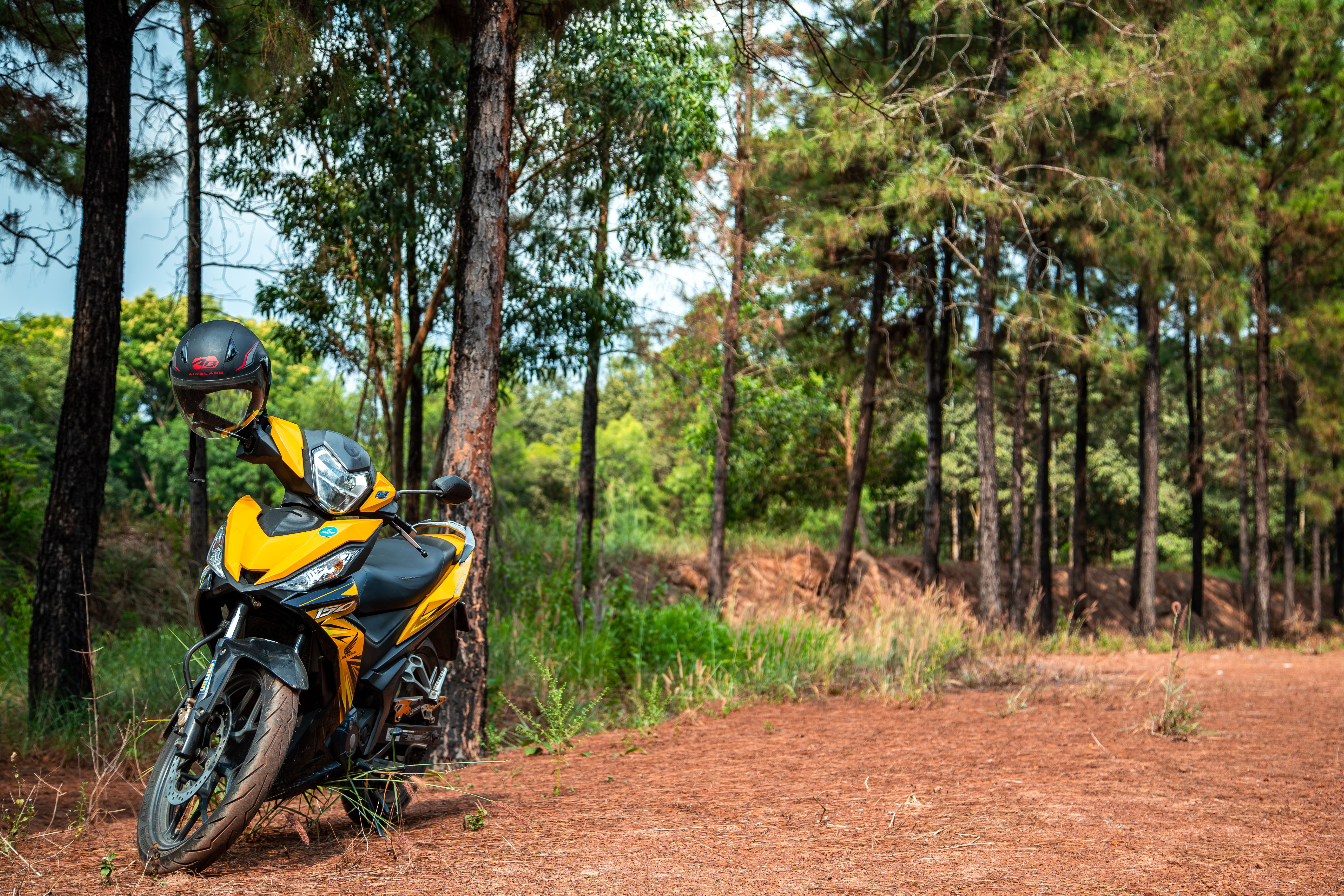 Yellow Motorcycle Parked in a Forest Path · Free Stock Photo