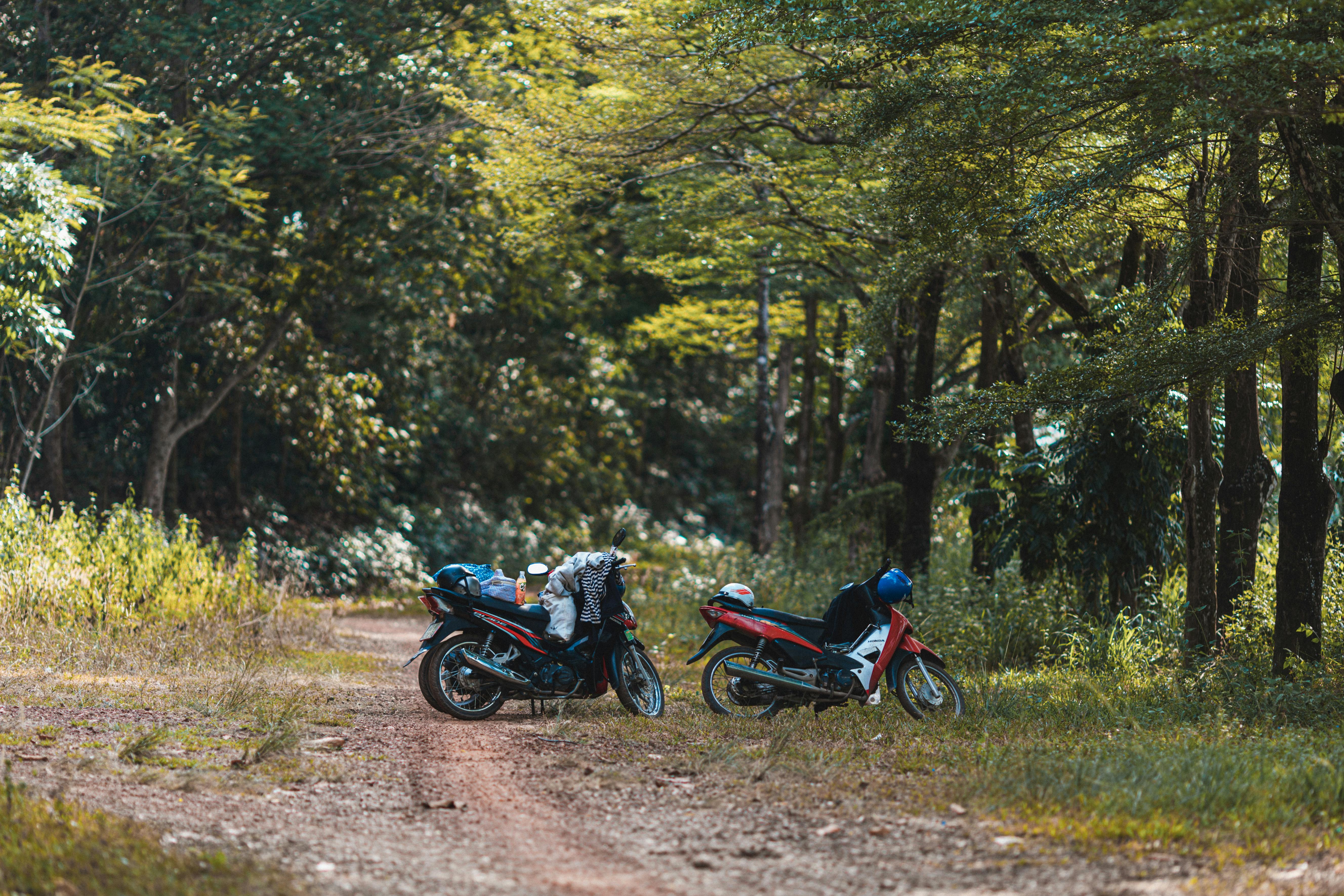 Motorcycles Resting on Forest Path in Vietnam · Free Stock Photo