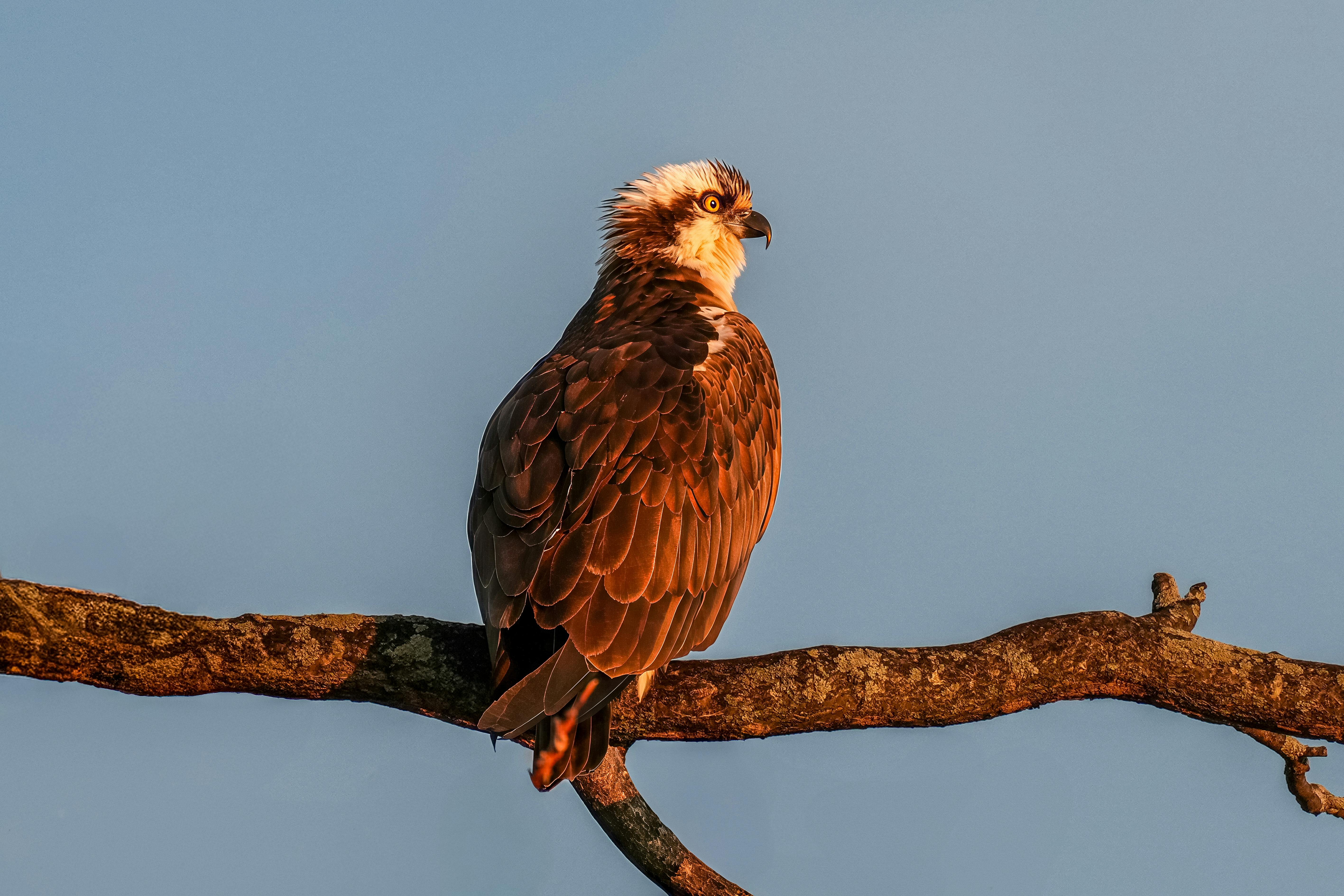 Eye Catchig Photos, Download The BEST Free Eye Catchig Stock Photos ...