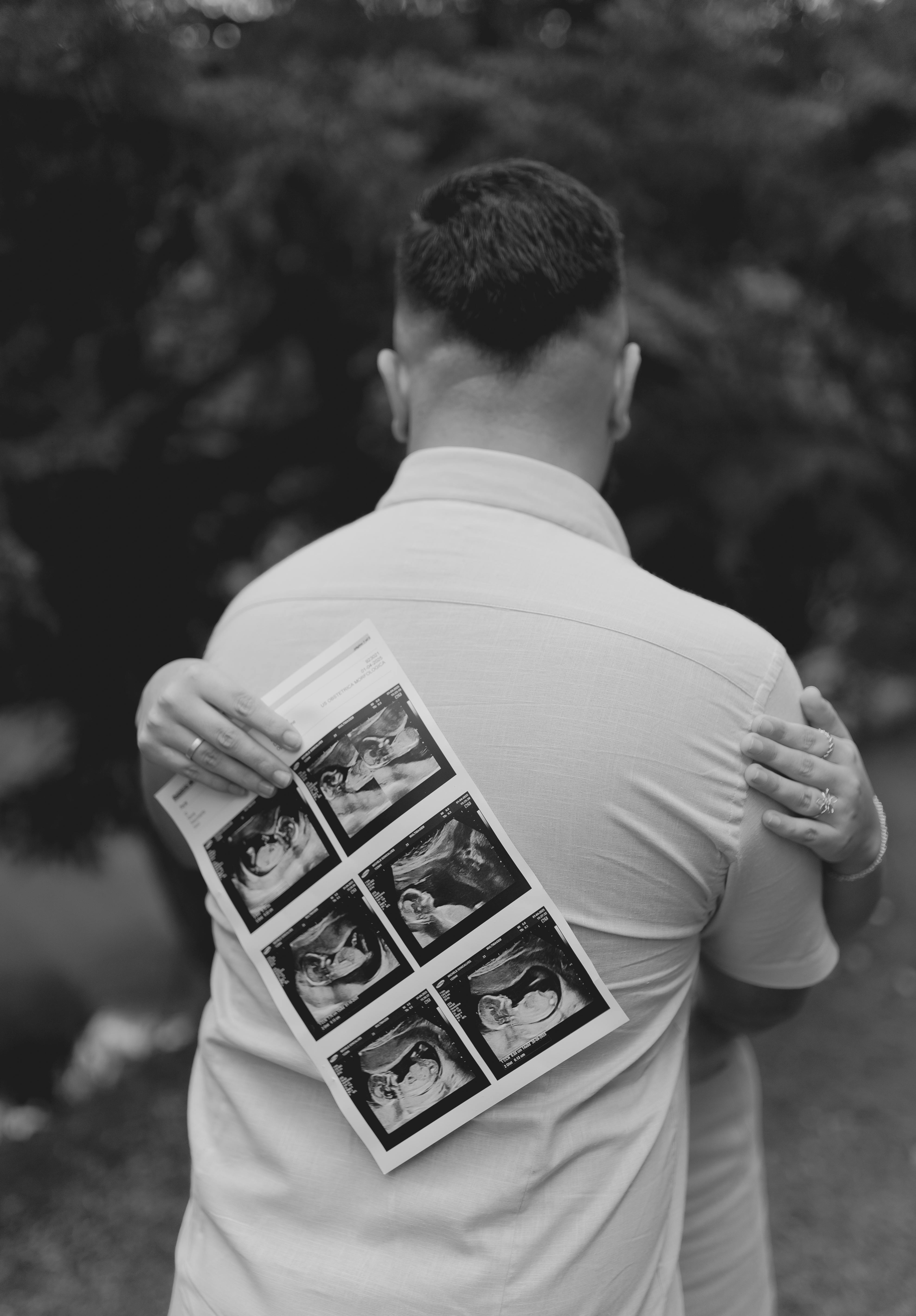 Family Tree Images Photos, Download The BEST Free Family Tree Images ...