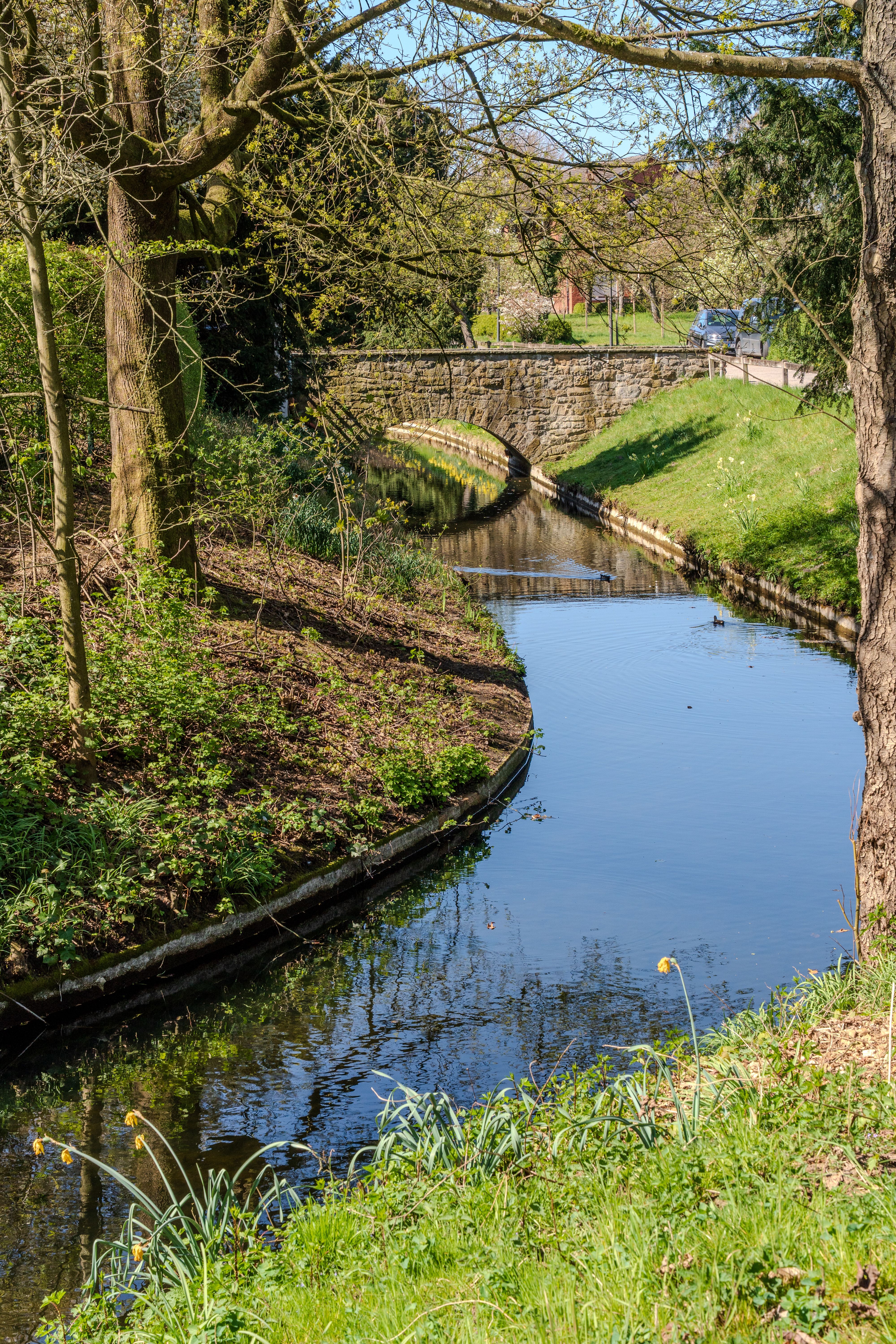 Serene Springtime Creek with Stone Bridge · Free Stock Photo