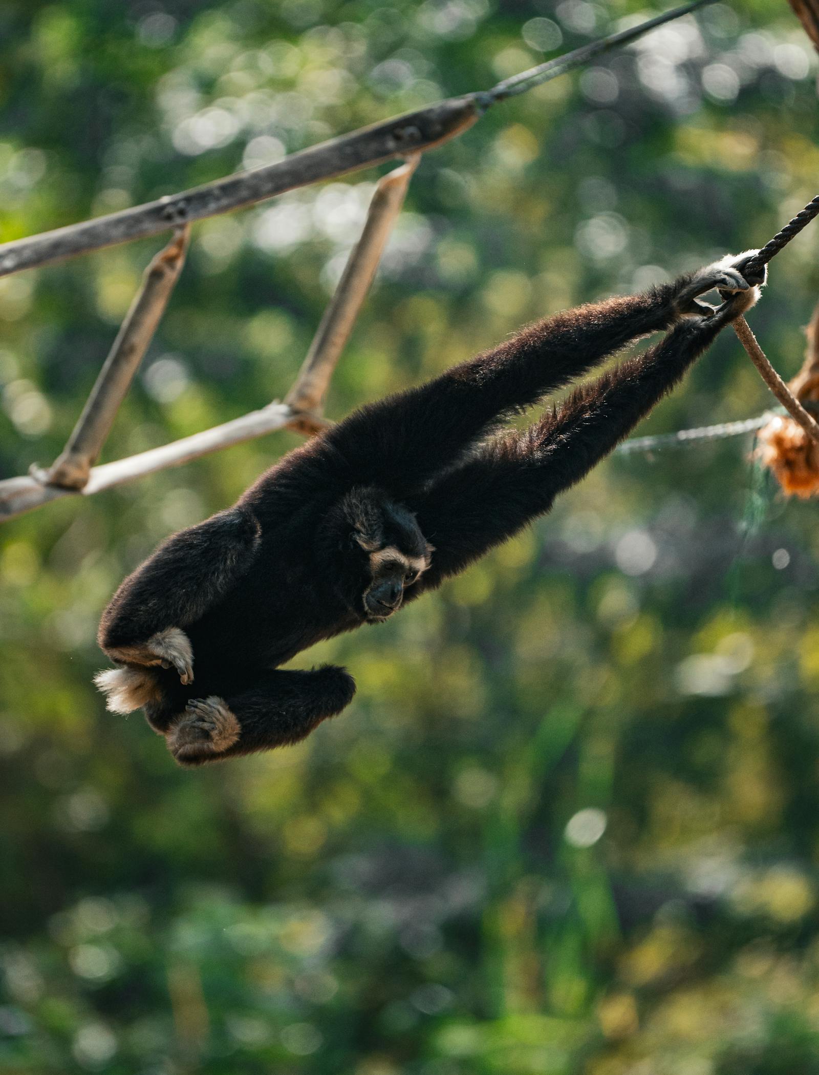 Free Pick Photos, Download The BEST Free Free Pick Stock Photos & HD Images