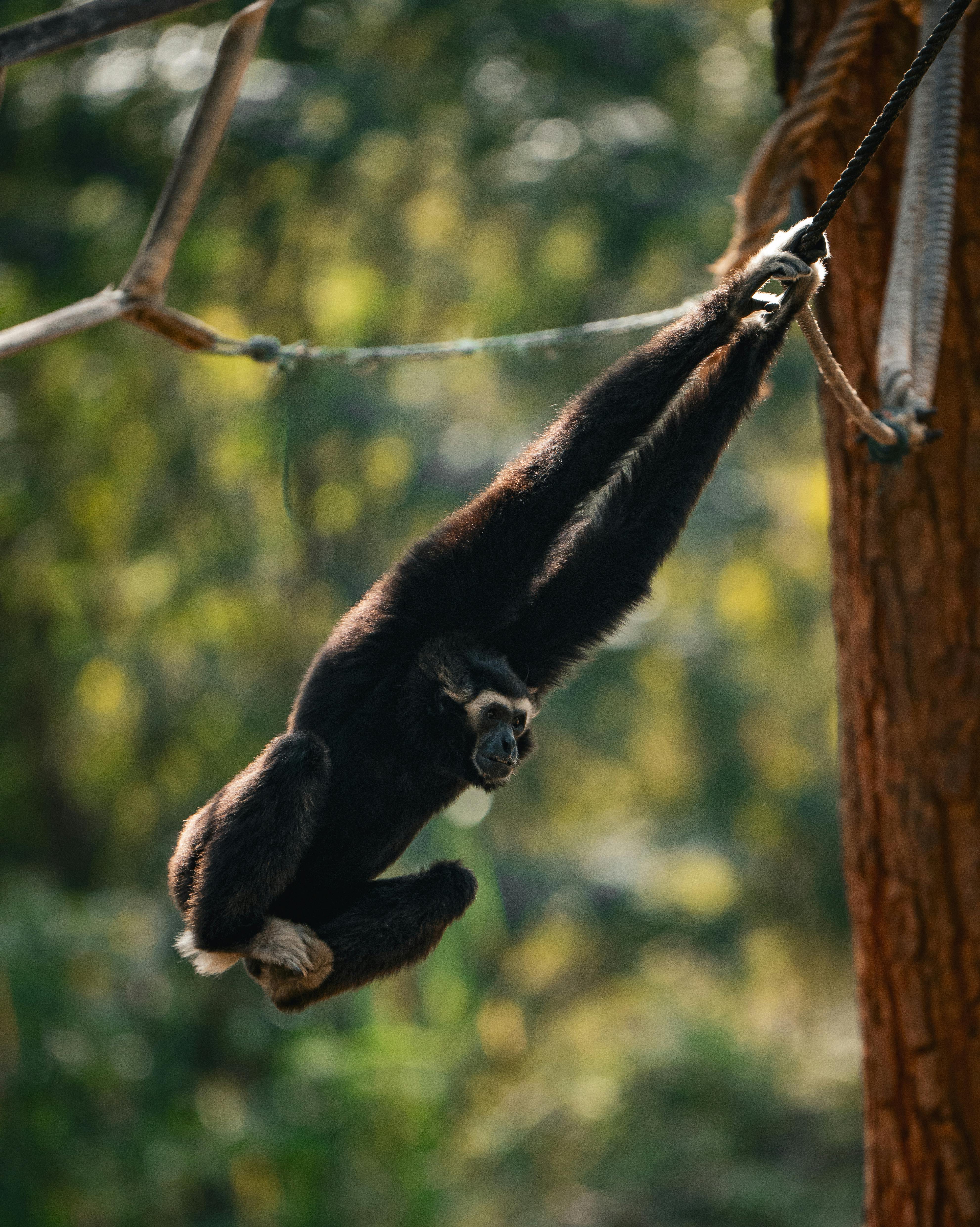 Download+Https;//Www. Photos, Download The BEST Free Download+Https ...