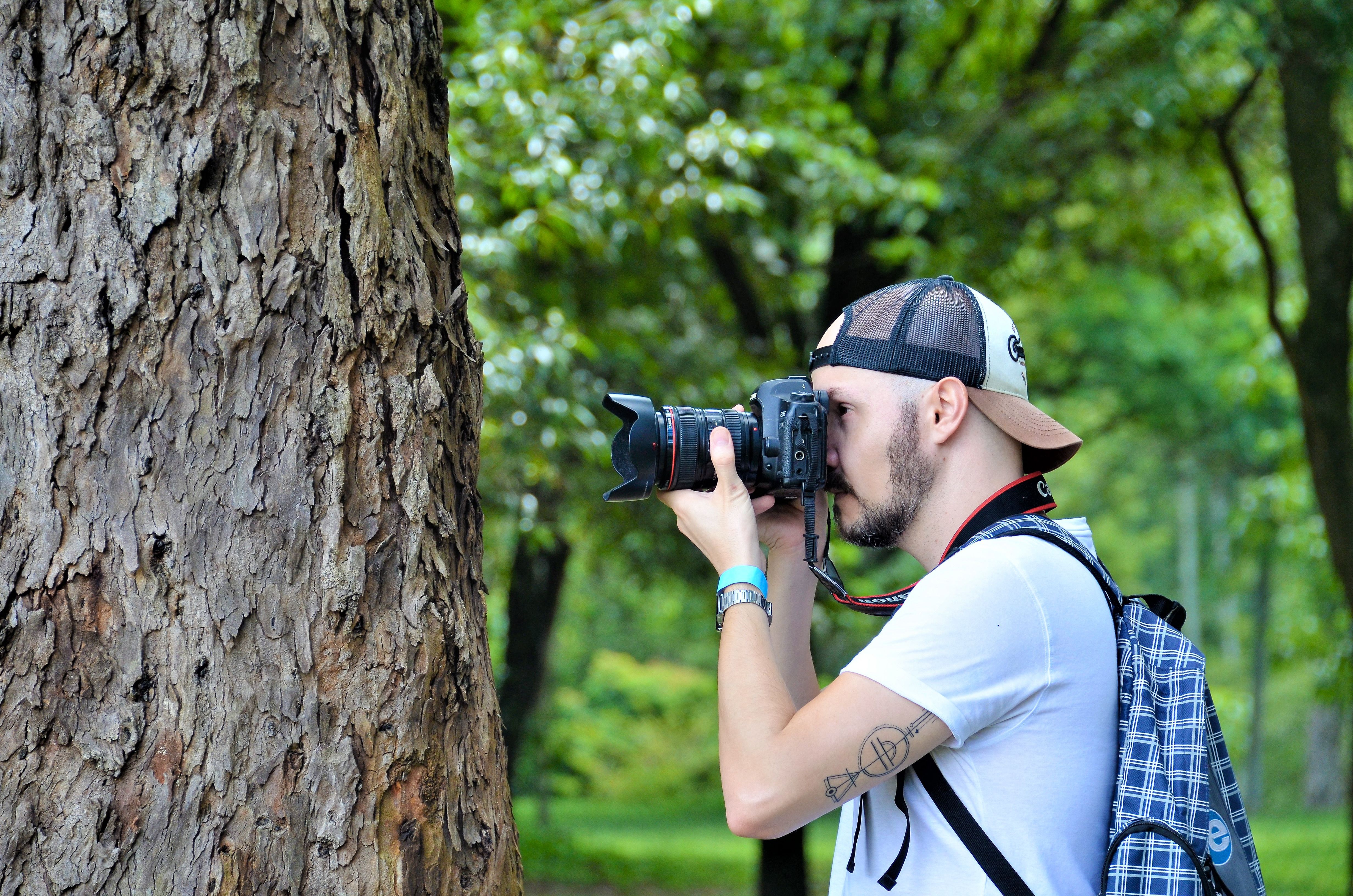 Forest Photo Landspace Photos, Download The BEST Free Forest Photo ...