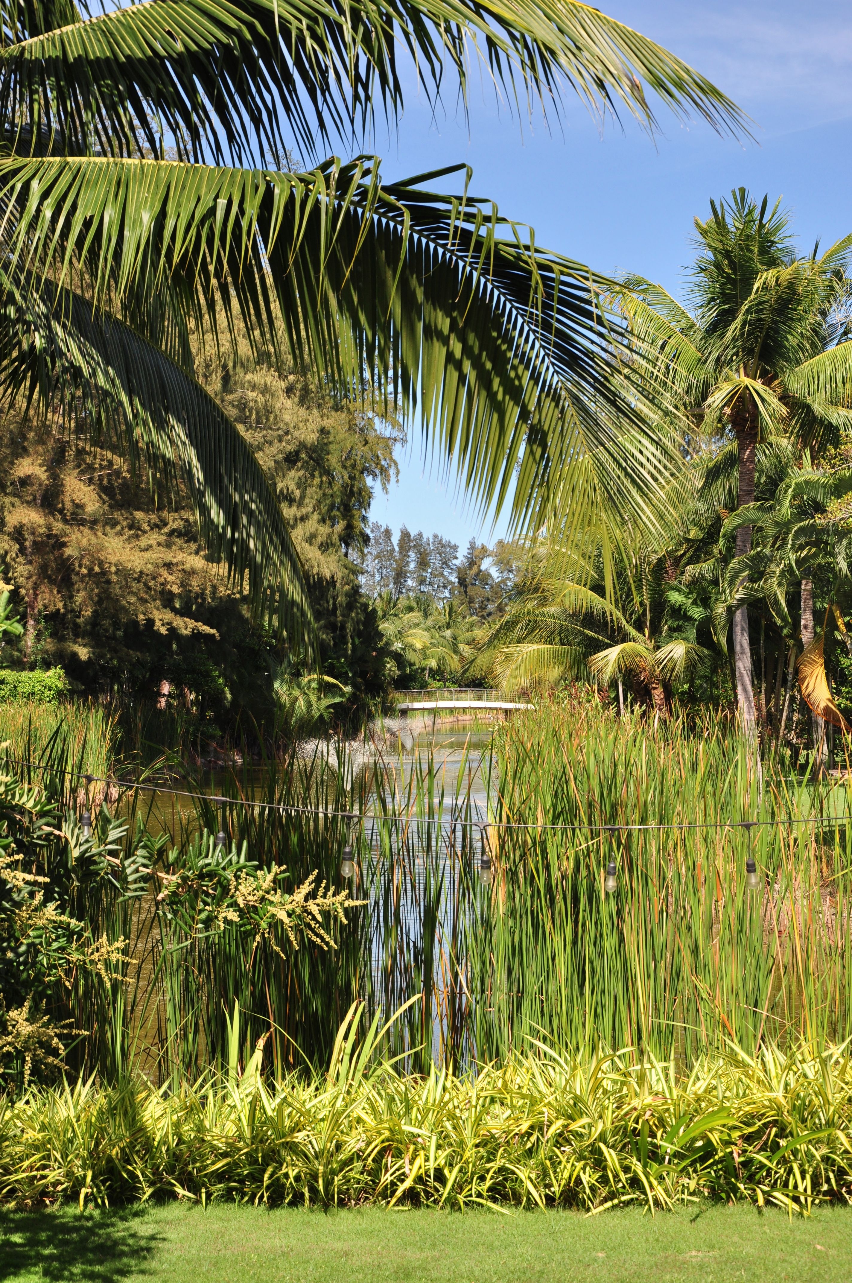 Oasis Of Peace Photos, Download The BEST Free Oasis Of Peace Stock ...