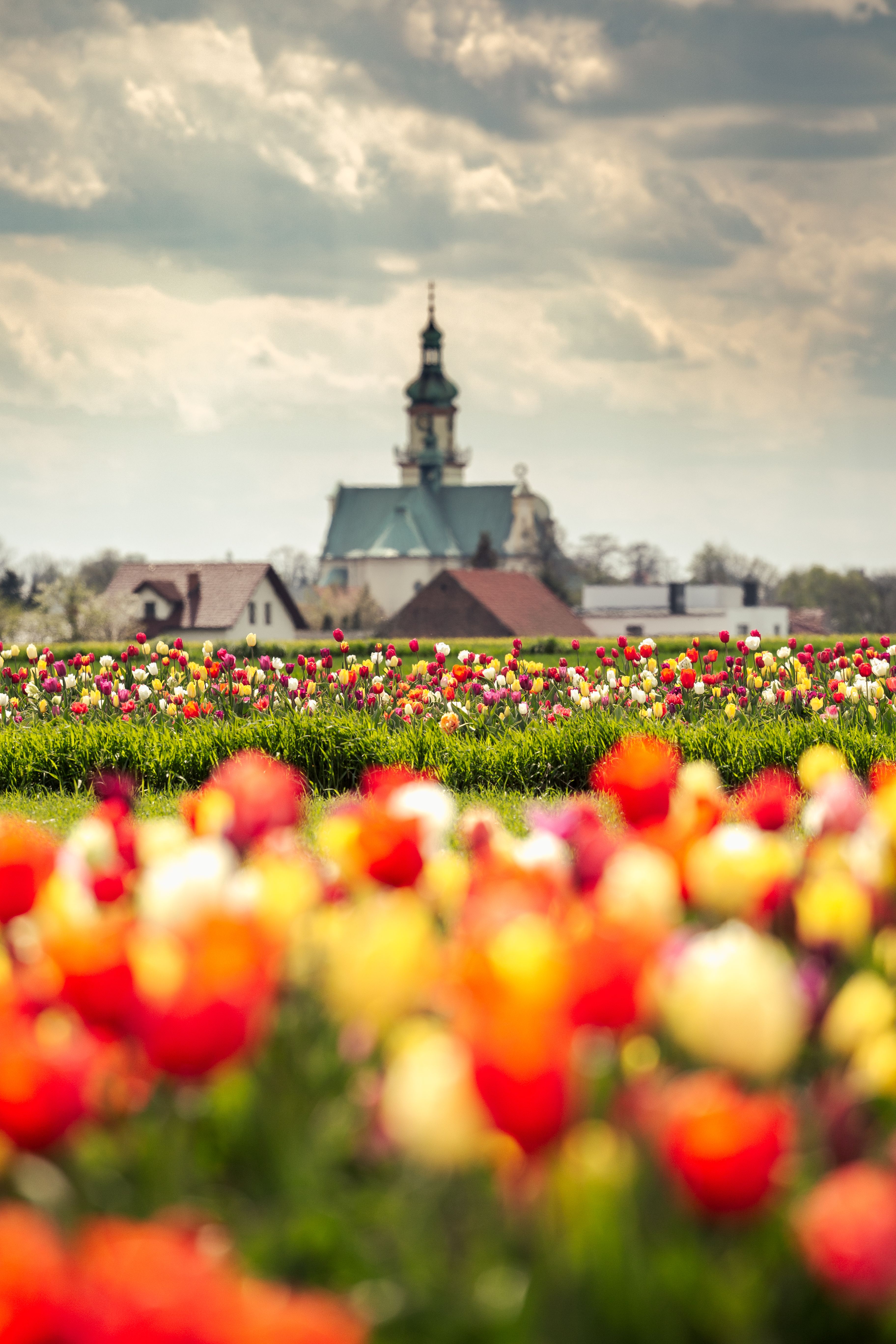 Colorful Tulip Field with Church in Poland · Free Stock Photo