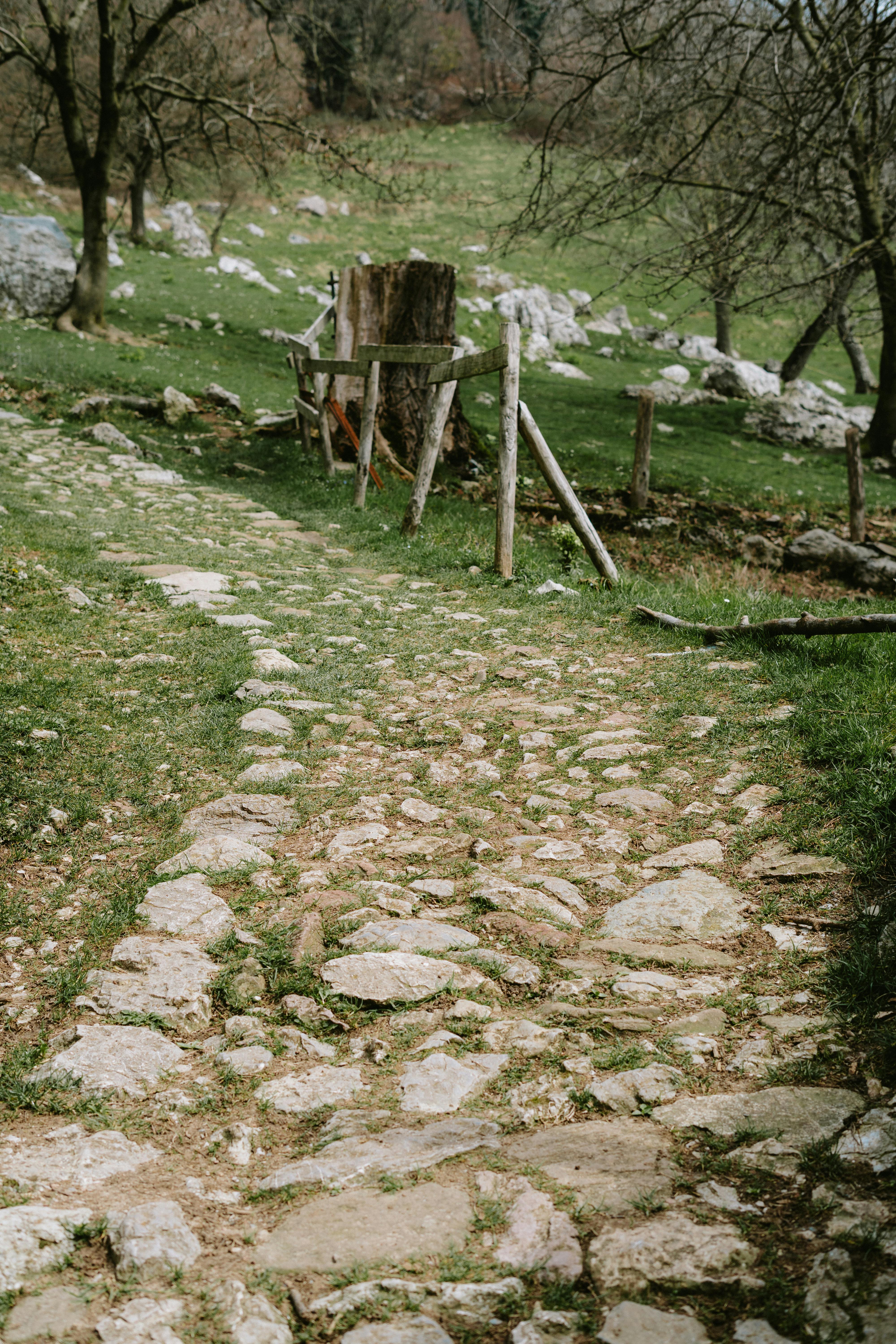 Scenic Alpine Pathway in Springtime · Free Stock Photo