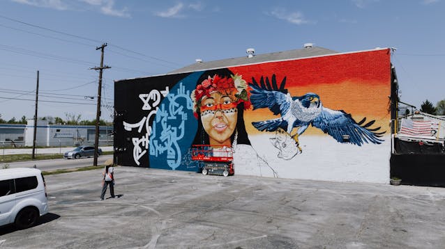 Tennessee Bird Identification: A Guide for Feeder Owners