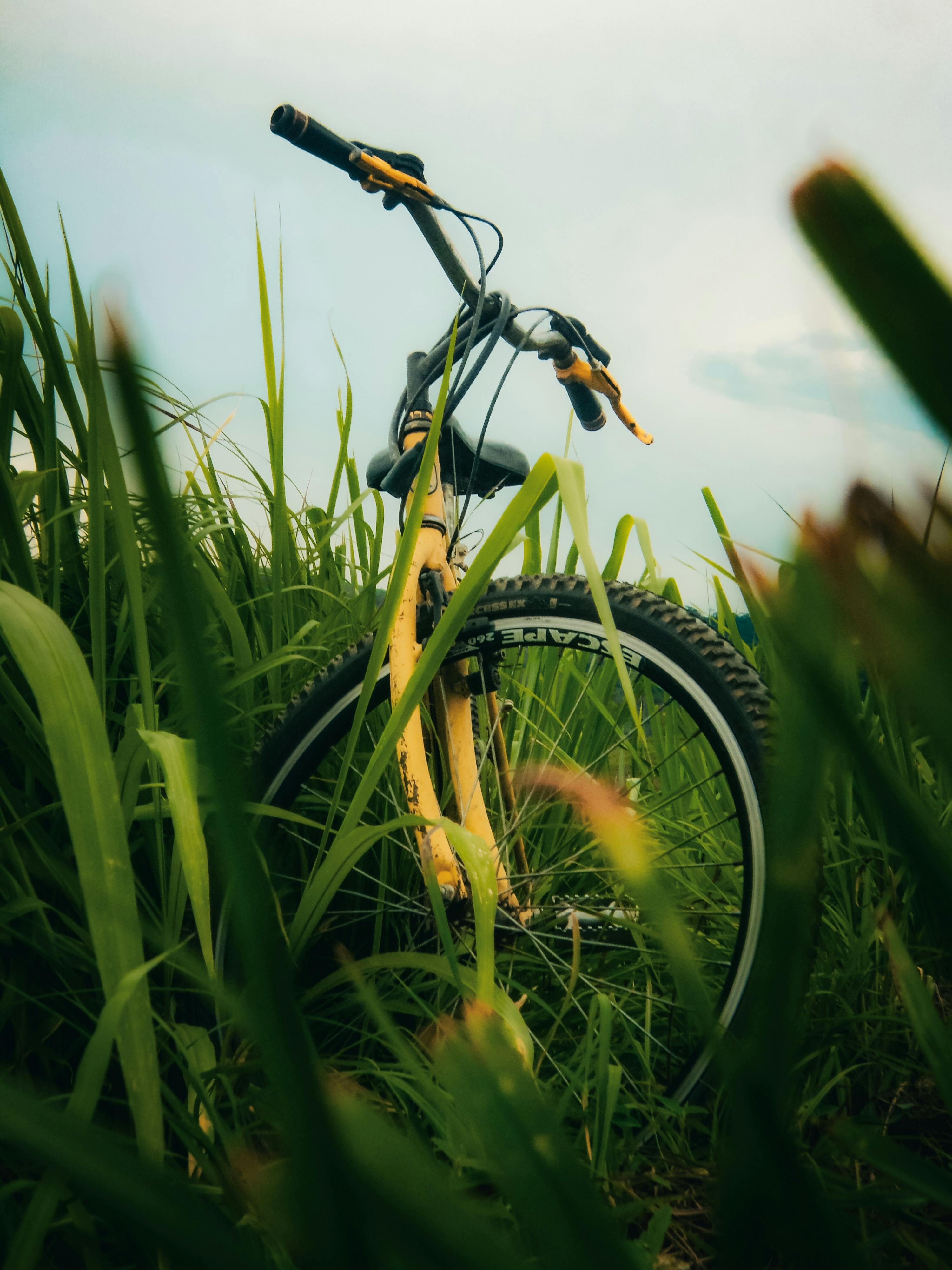 Bicycle Handlebar Photos, Download The BEST Free Bicycle Handlebar ...