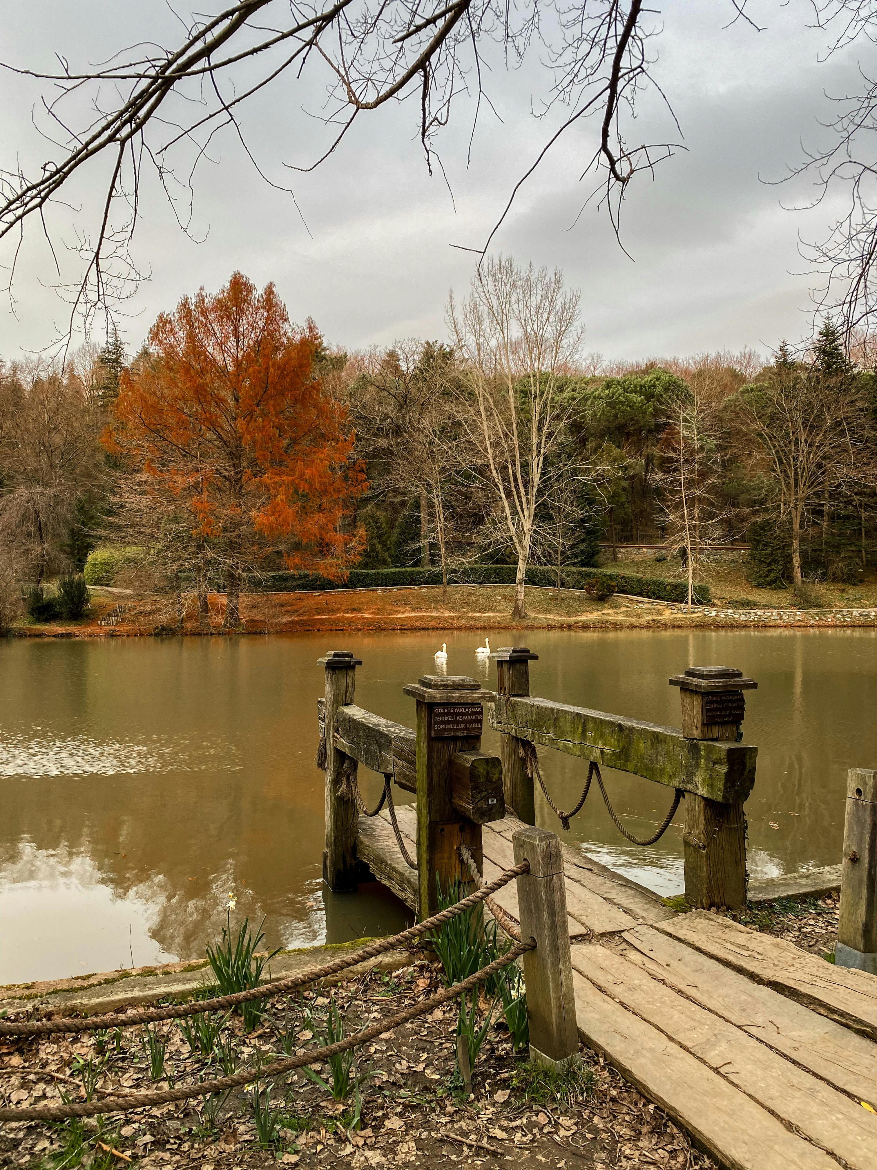 Ventolin And Spacer Photos, Download The BEST Free Ventolin And Spacer ...