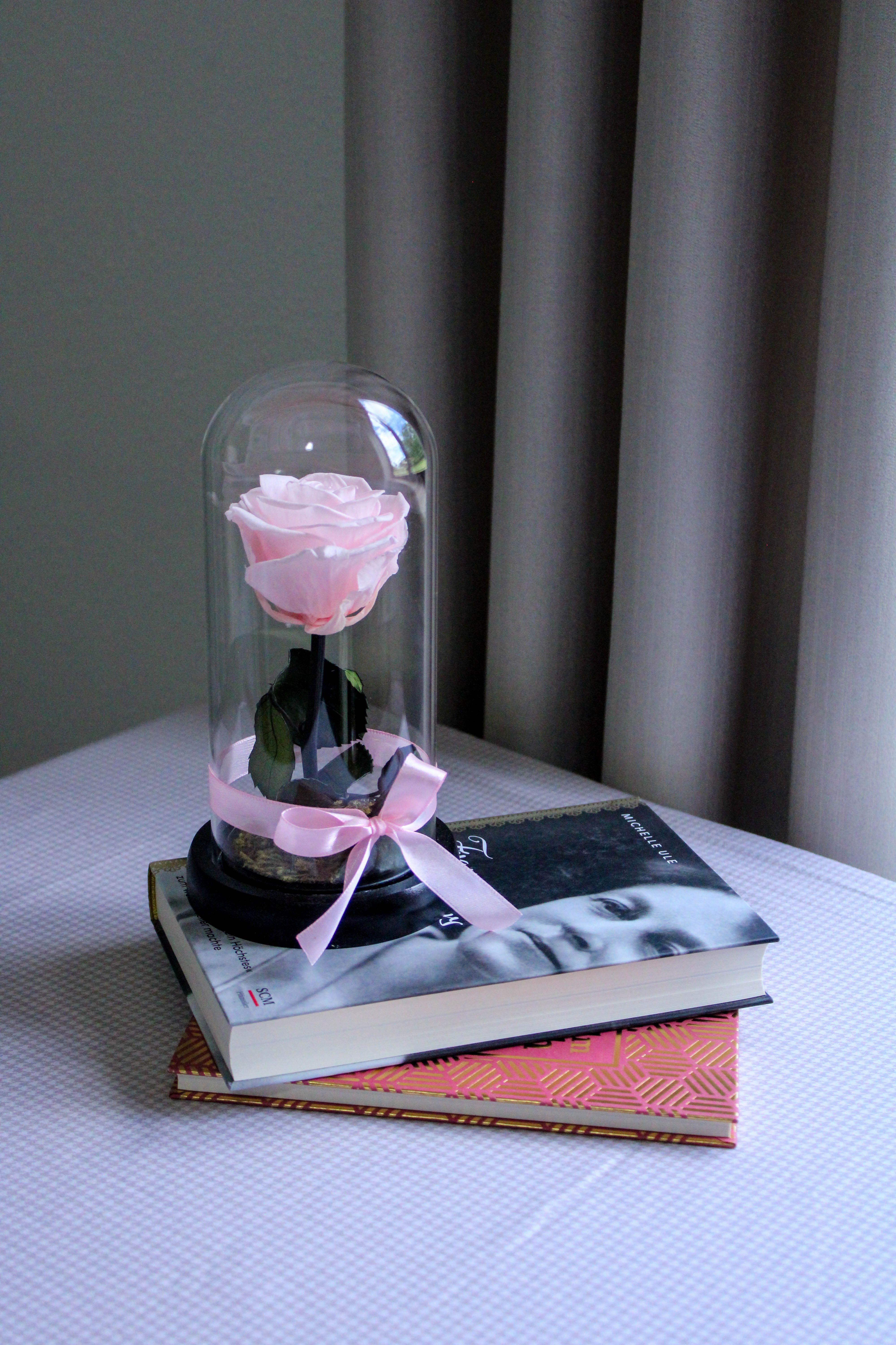 Elegant Glass-Encased Rose on Books at Home · Free Stock Photo