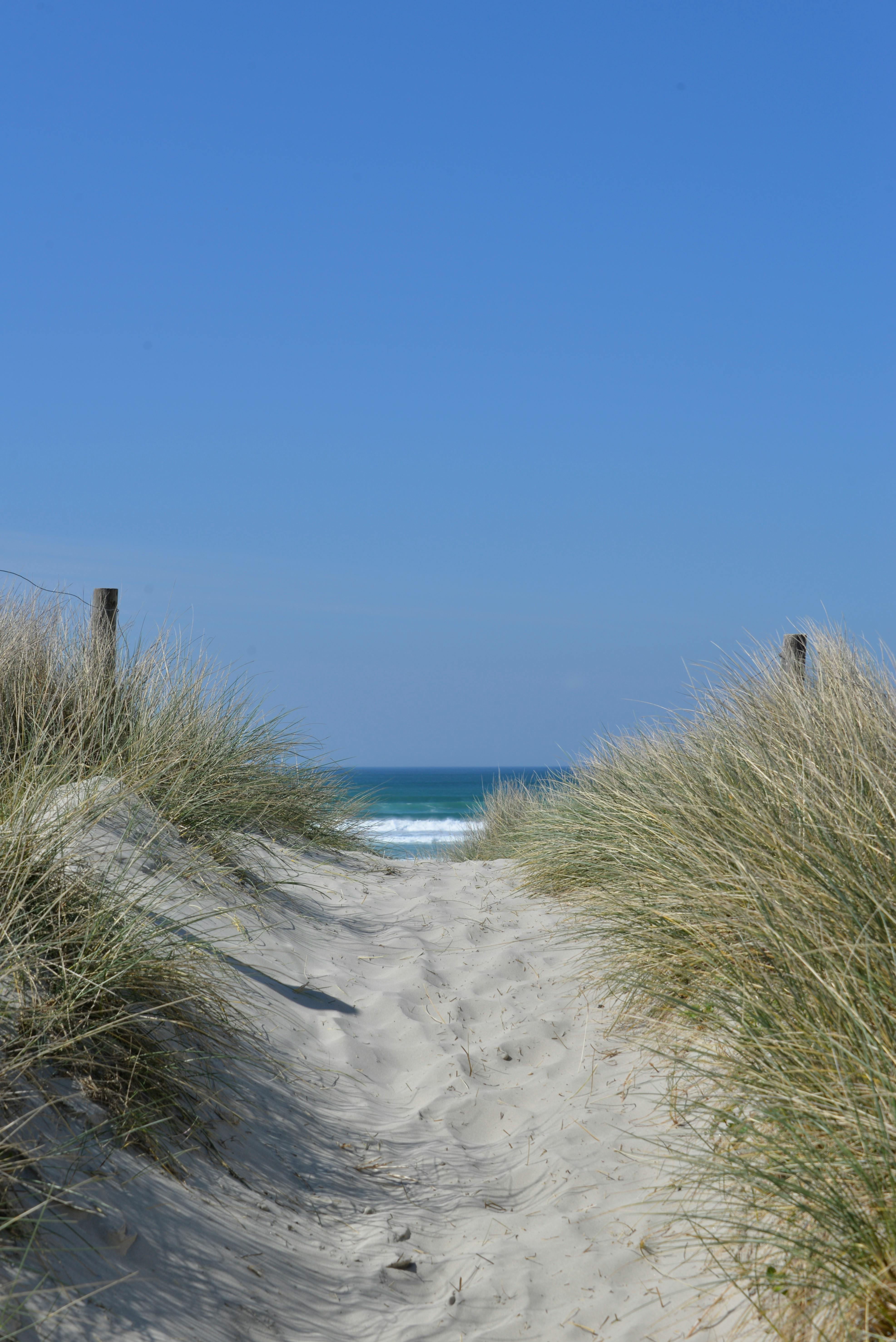 Sentier De Plage Serein Avec Dunes De Sable · Photo gratuite