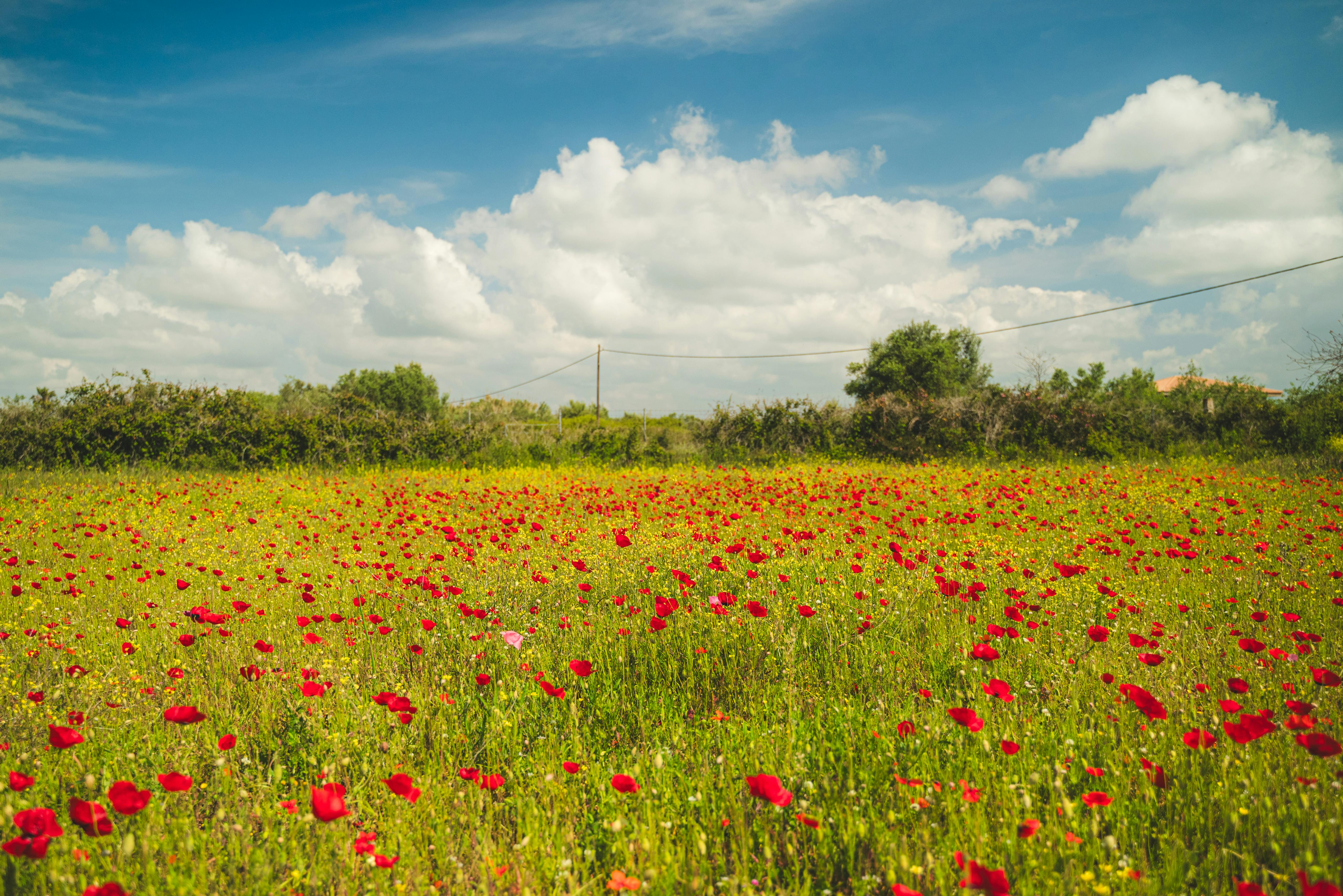 Desktop Slideshow Wallpaper Photos, Download The BEST Free Desktop ...