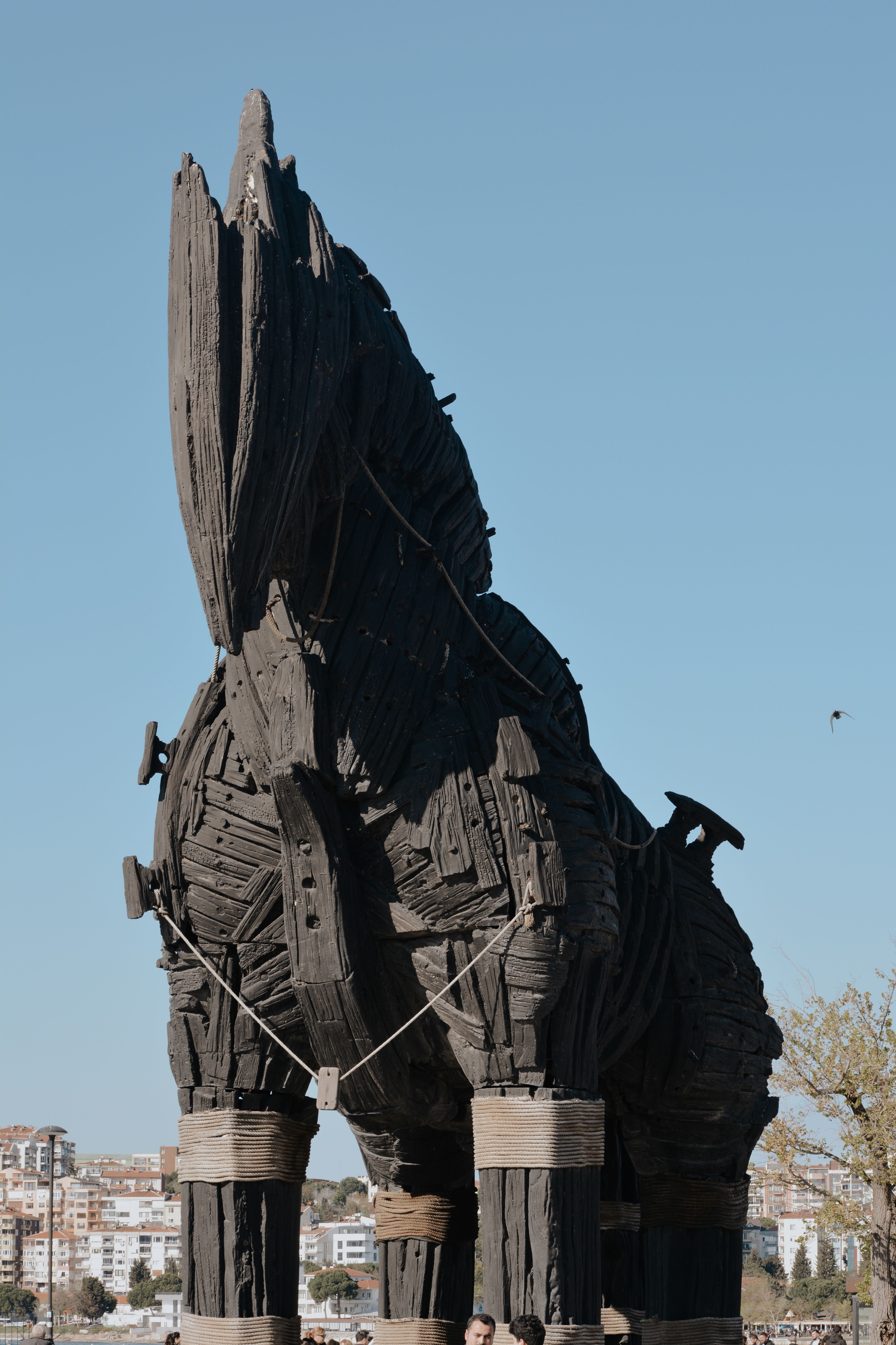 Trojan Horse Photos, Download The BEST Free Trojan Horse Stock Photos ...