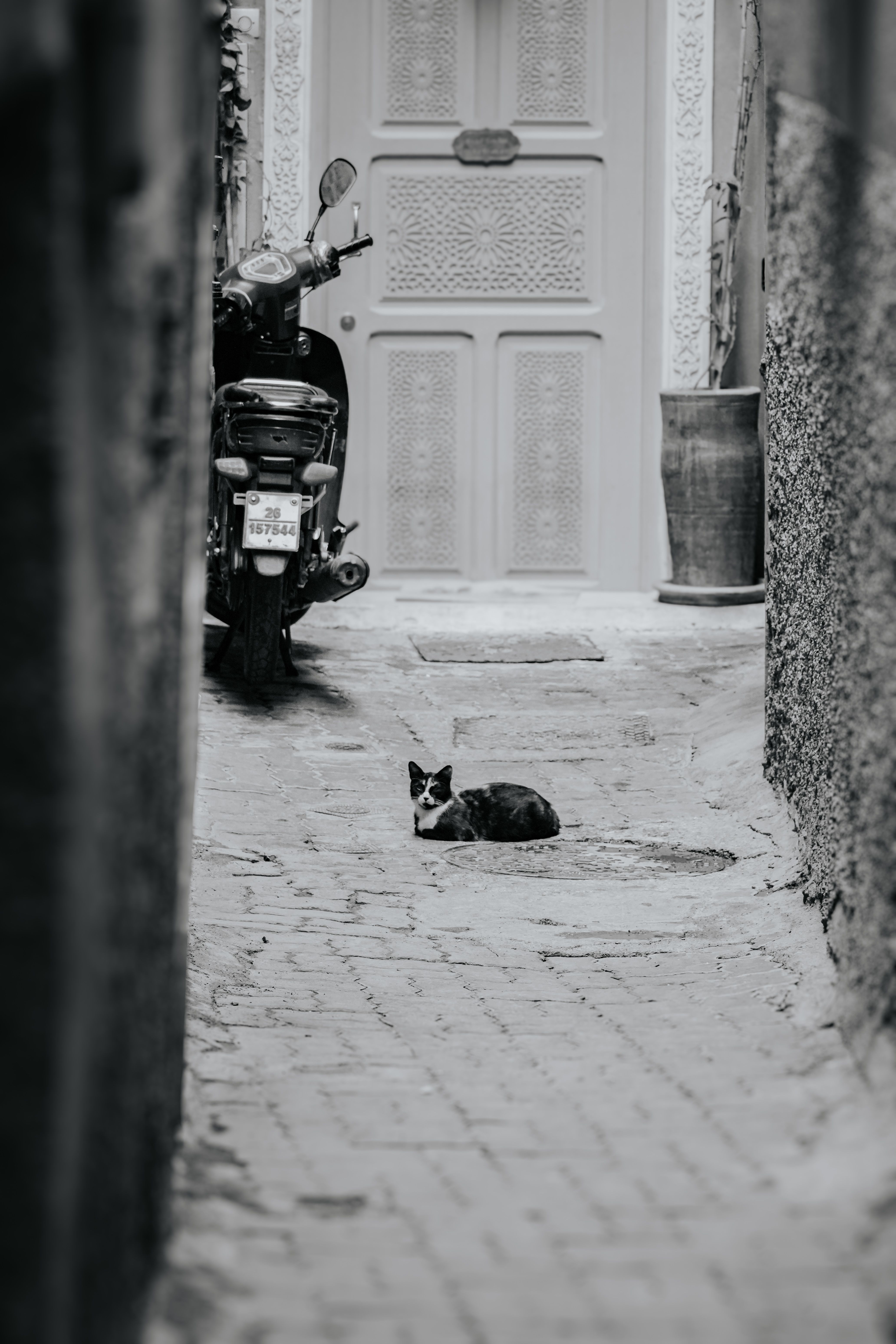 Rest Of The World Photos, Download The BEST Free Rest Of The World ...
