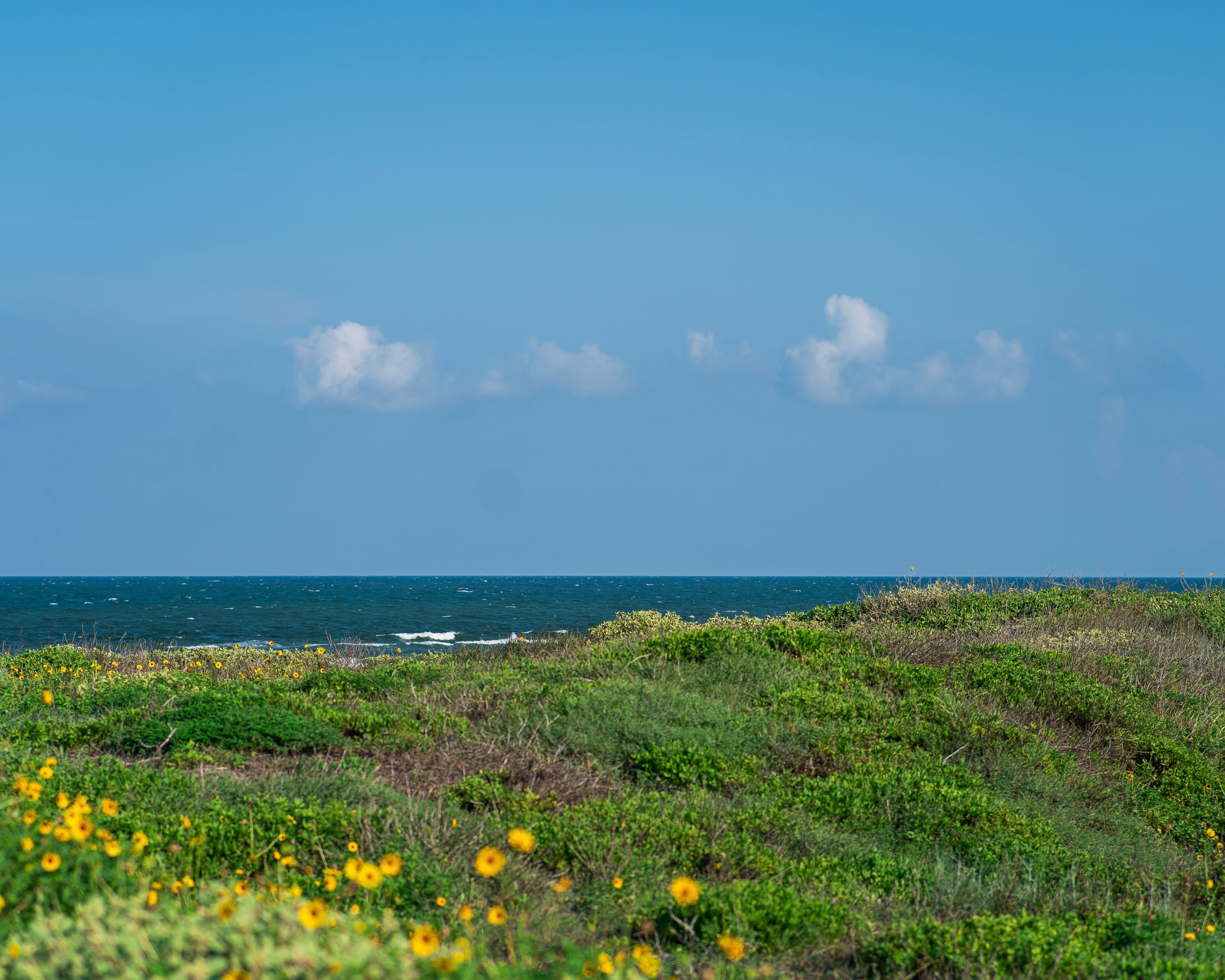 Serene Coastal Landscape in Corpus Christi, Texas · Free Stock Photo