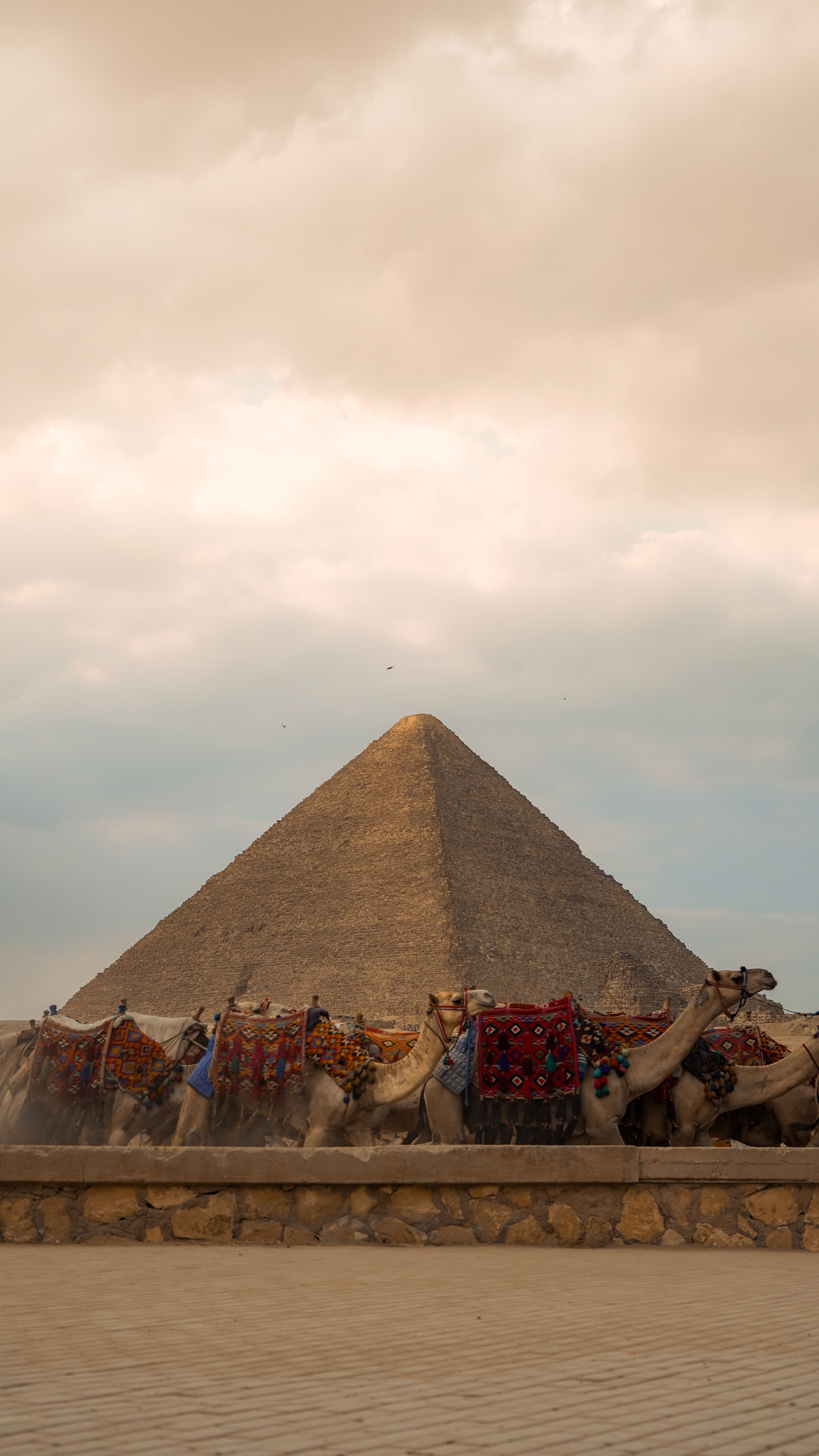 Man Taking Photo of the Great Pyramid · Free Stock Photo