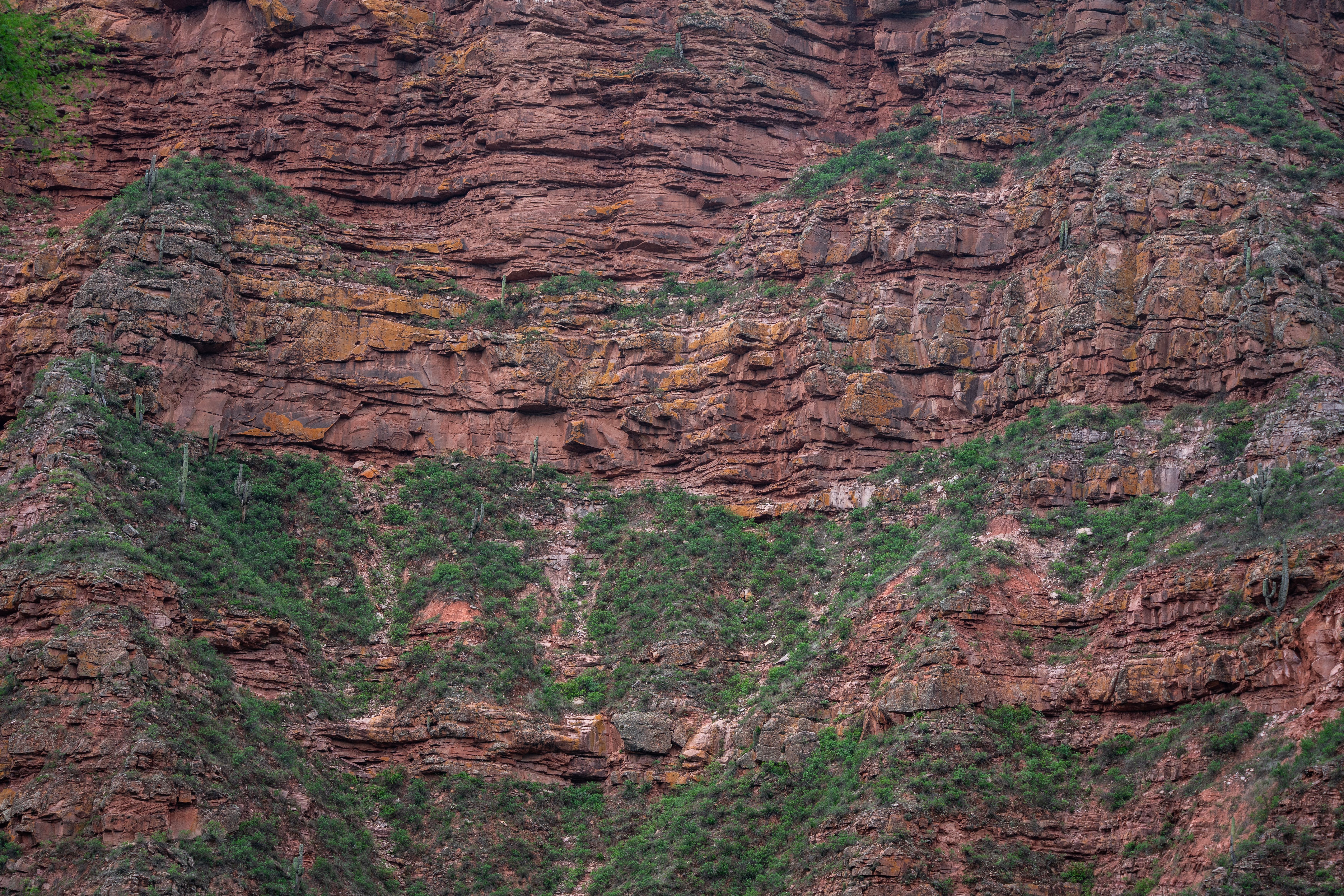 Rugged Red Rock Mountain with Sparse Vegetation · Free Stock Photo