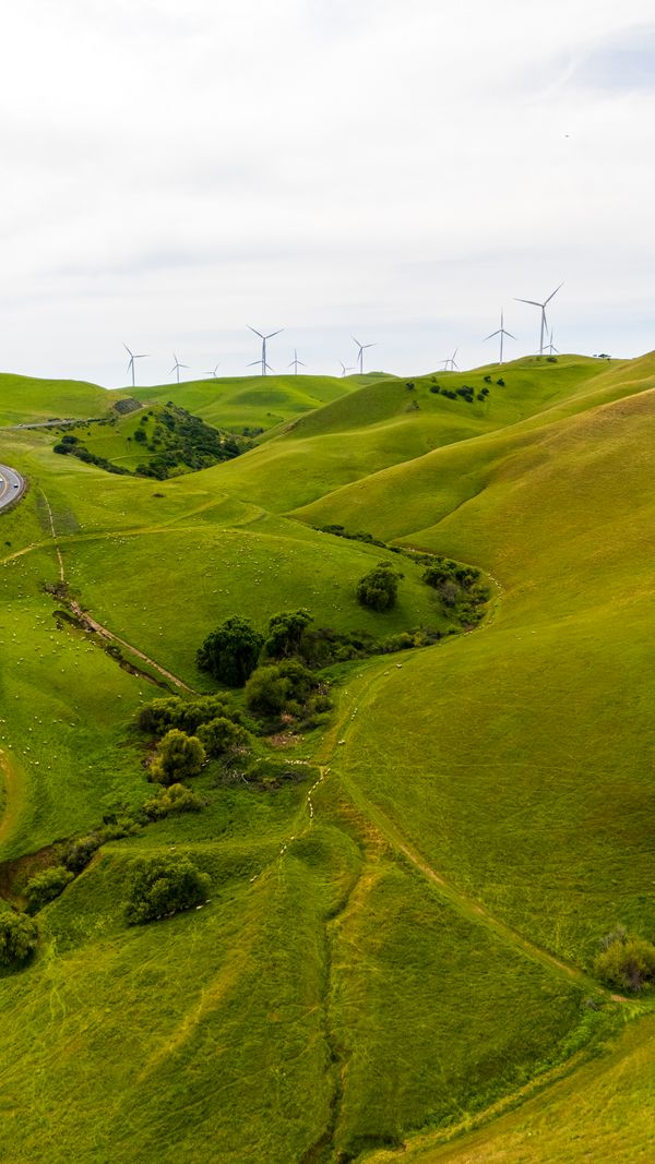 Green Hills Photos, Download The BEST Free Green Hills Stock Photos ...