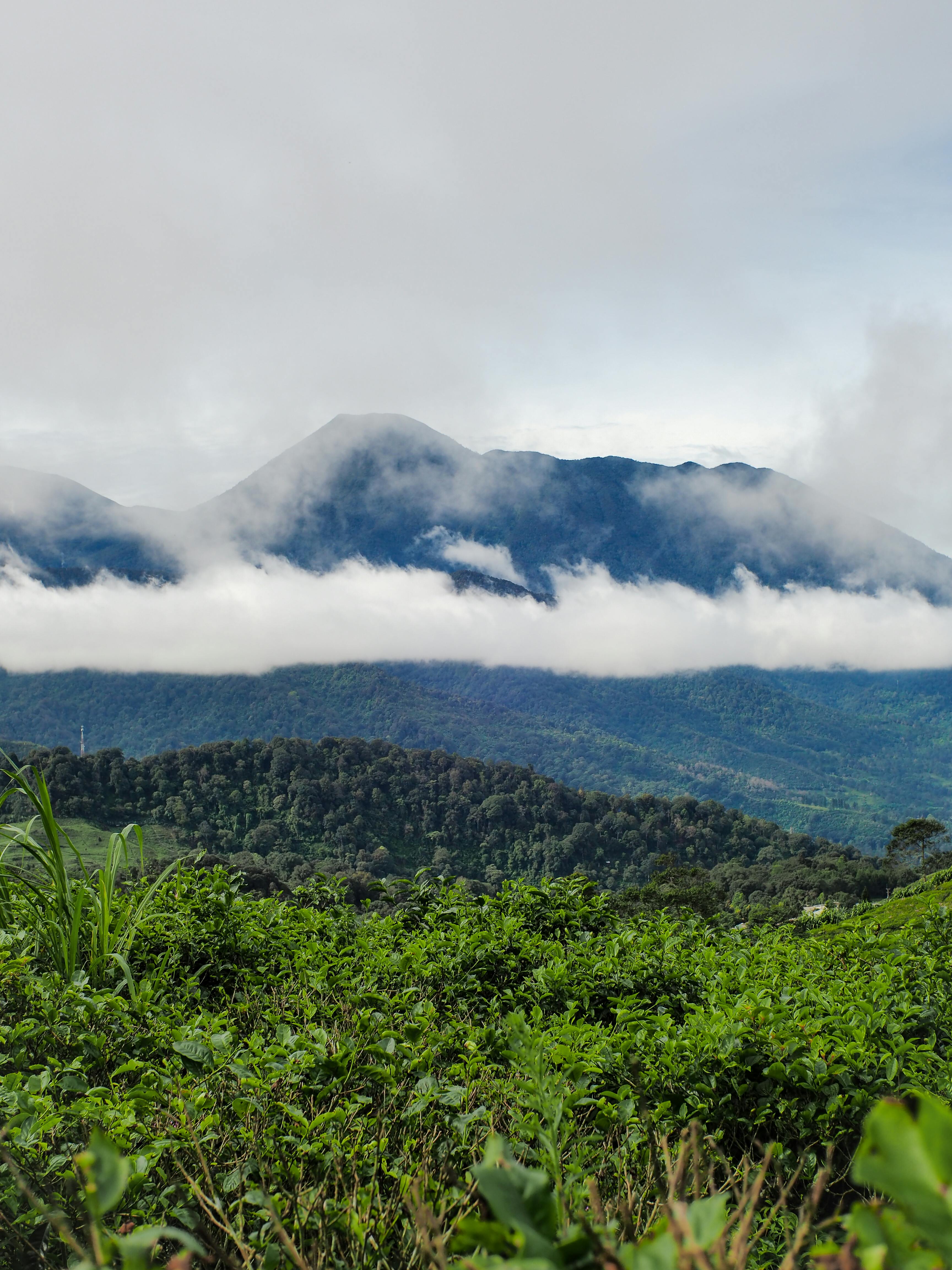 Vista Panorámica De Las Montañas En Java Occidental, Indonesia · Foto ...