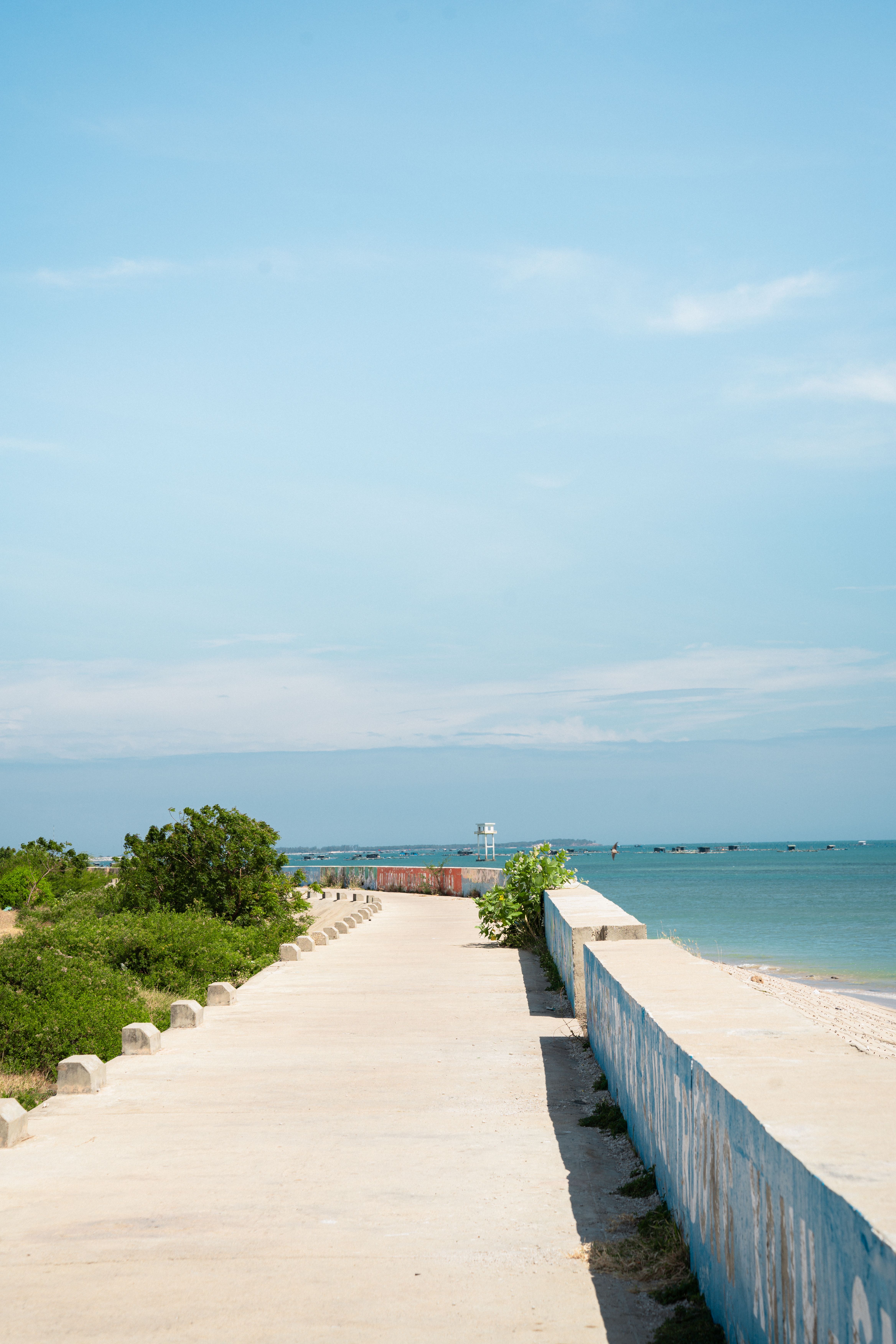 Scenic Coastal Pathway with Ocean View · Free Stock Photo