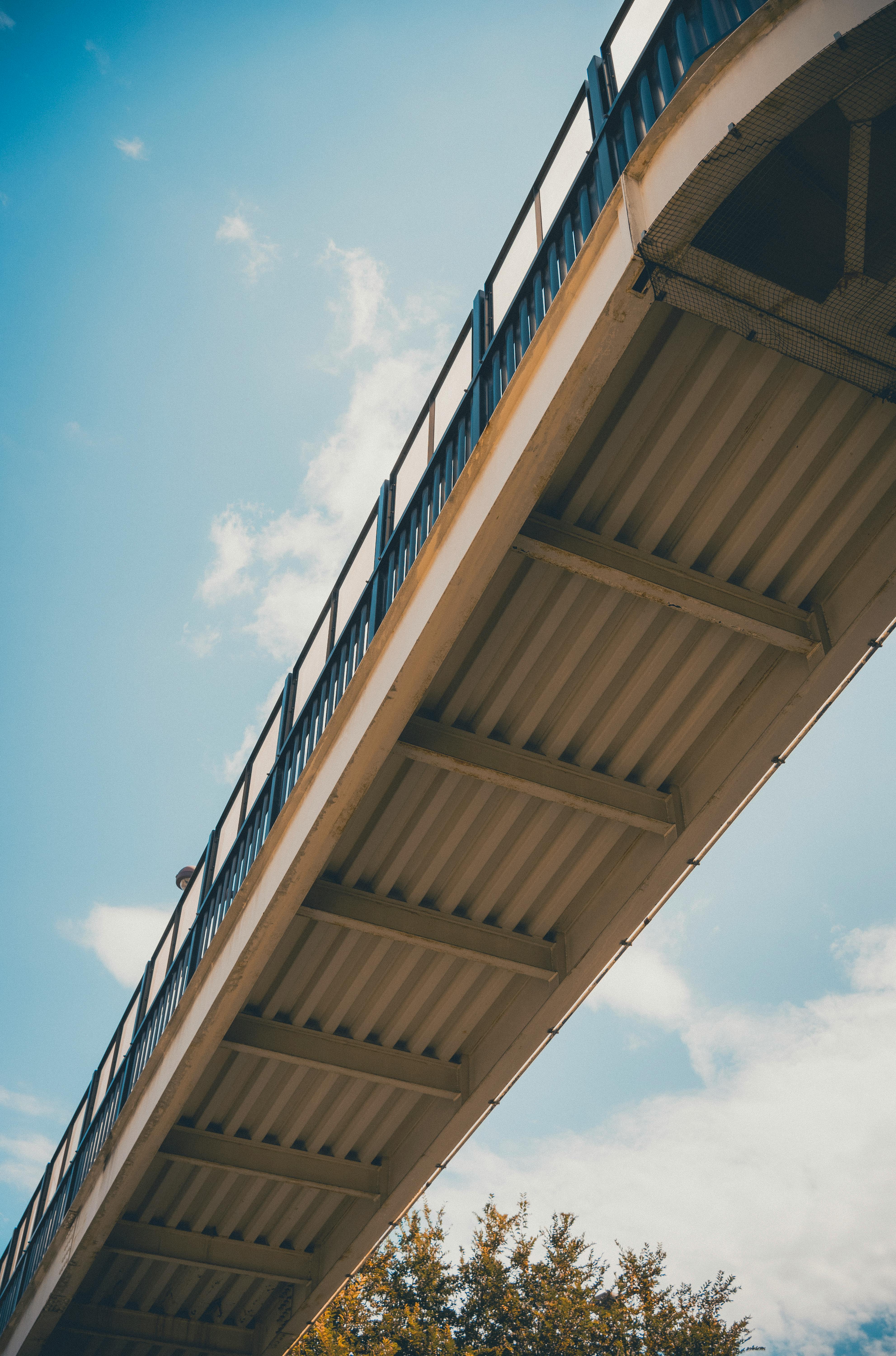 舊筆記 Photos, Download The BEST Free 舊筆記 Stock Photos & HD Images