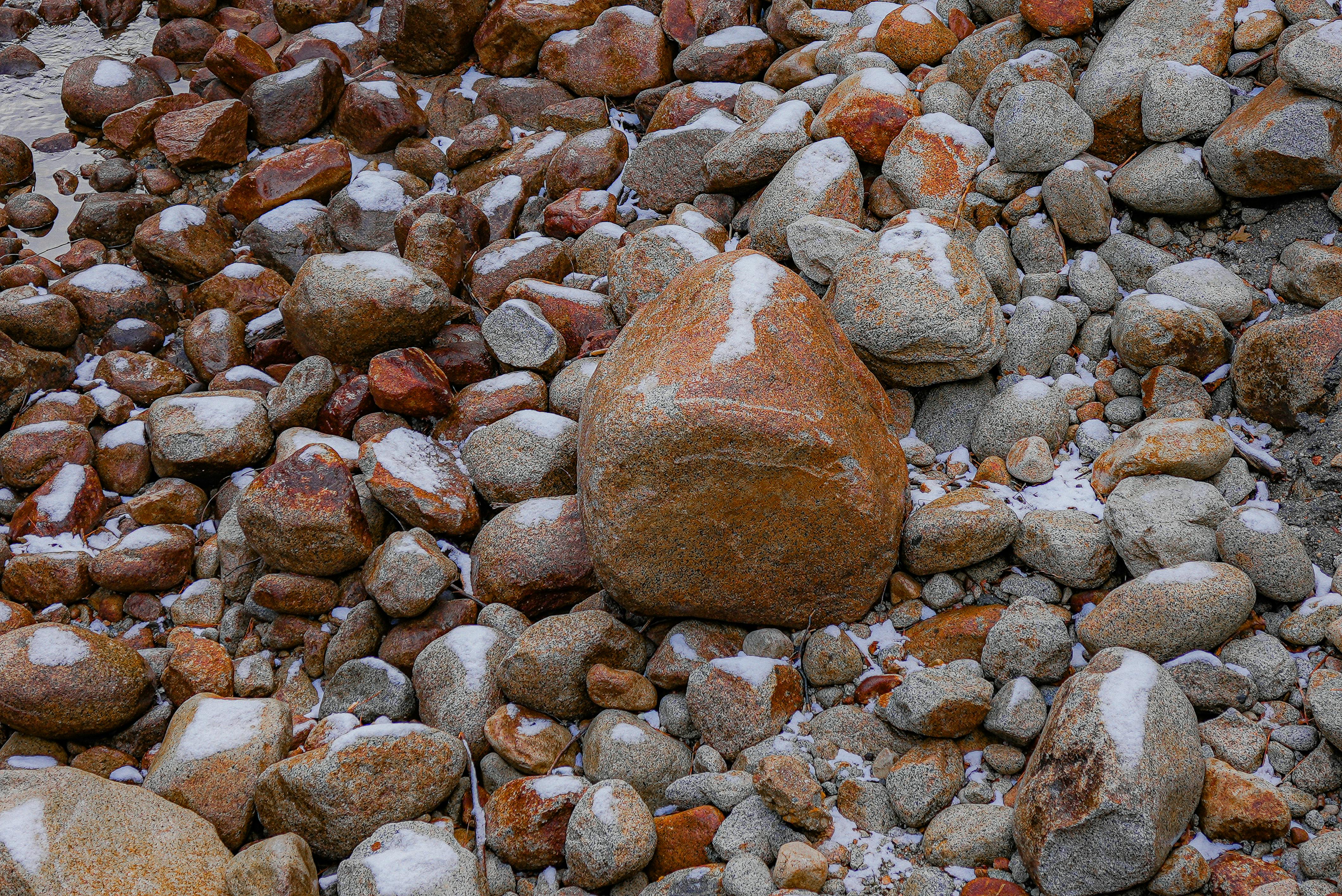 Pebble Beach with Snowy Rocks in California · Free Stock Photo