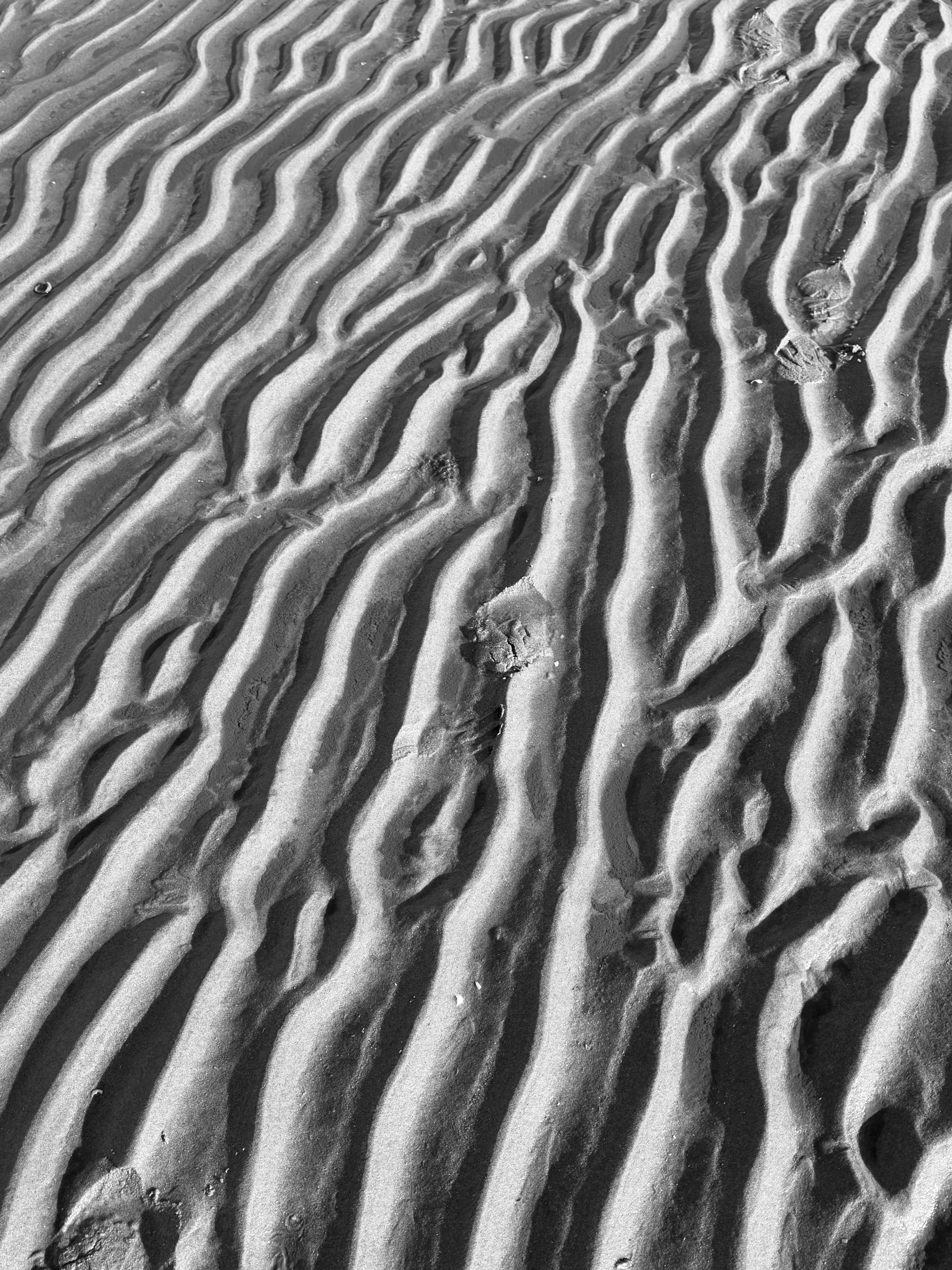 Ripples in Sand on a Beach at Low Tide · Free Stock Photo