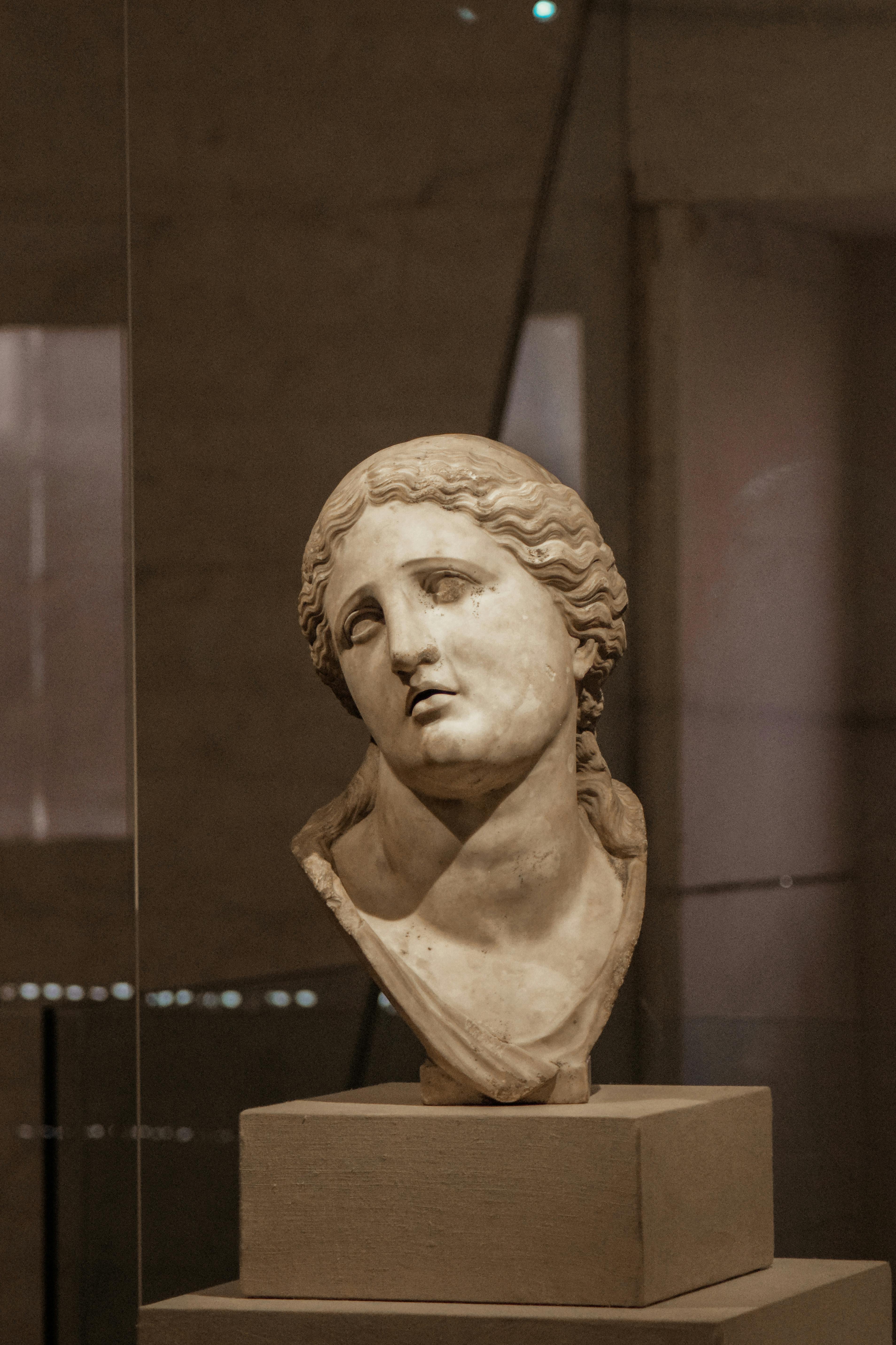 Classical Marble Bust in Cairo Art Museum · Free Stock Photo