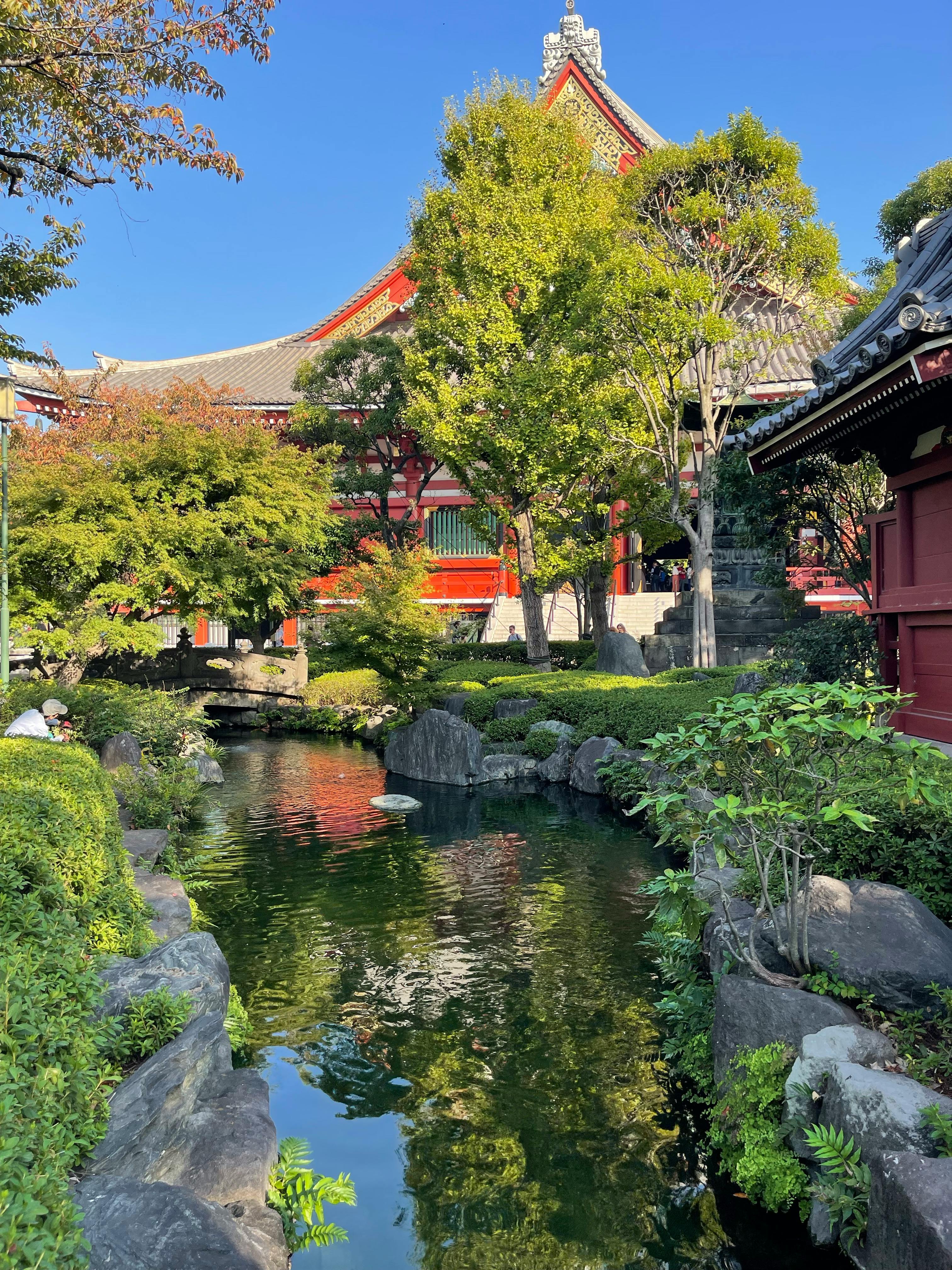 Beautiful Traditional Japanese Garden Scene · Free Stock Photo