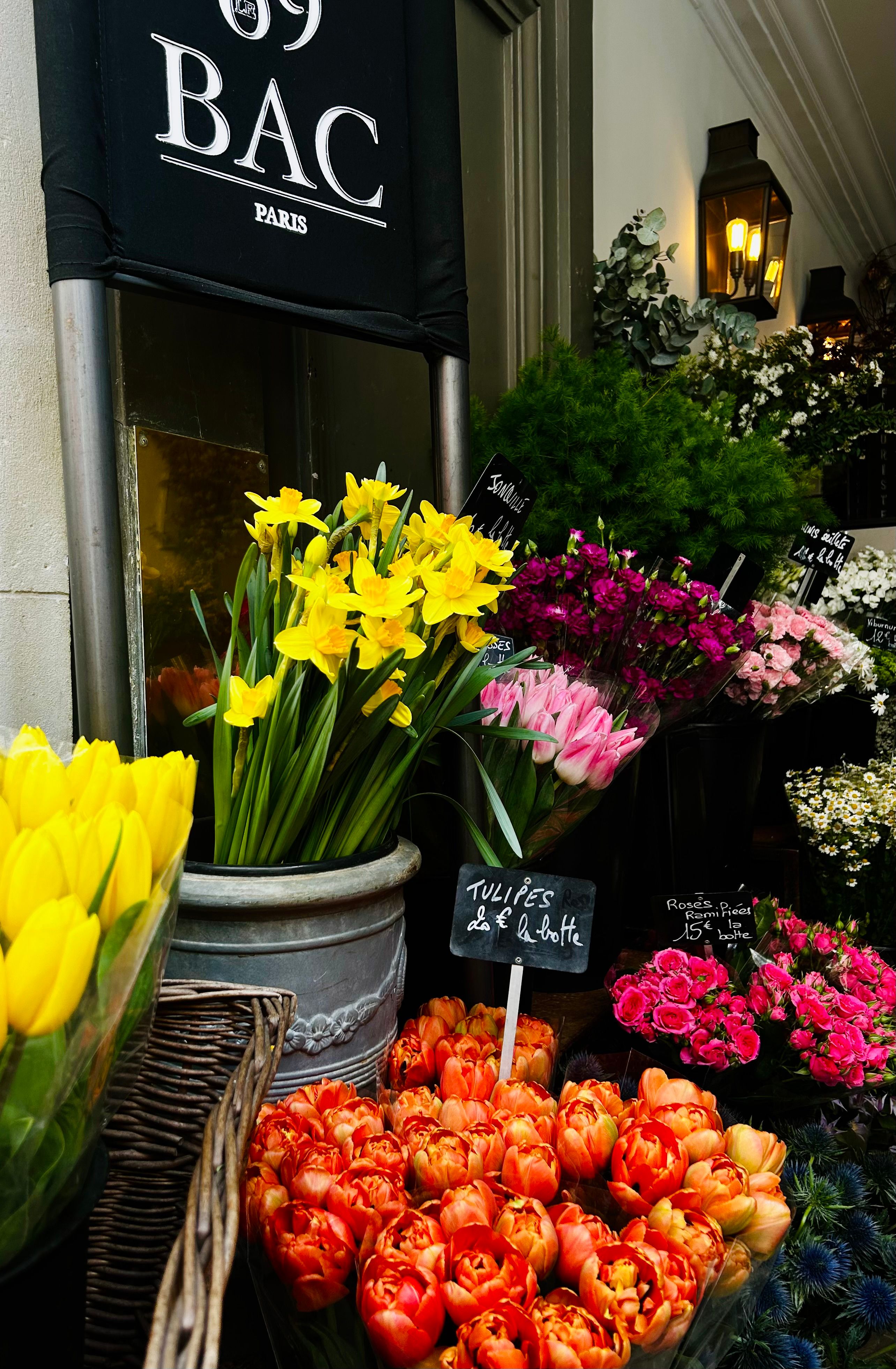 Charming Flower Shop Display in Paris · Free Stock Photo