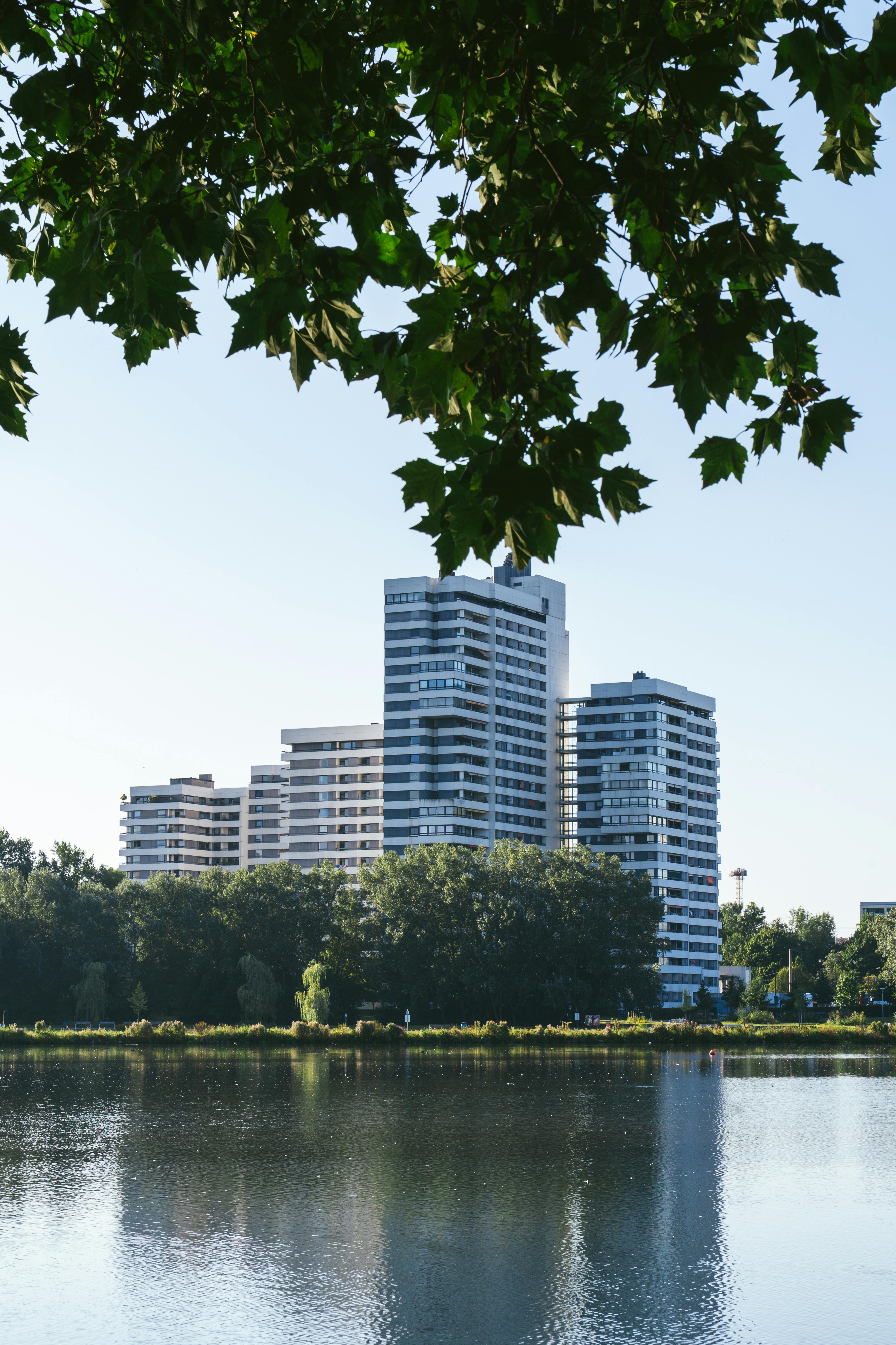 Modern Urban Skyline with Reflective Lake View · Free Stock Photo
