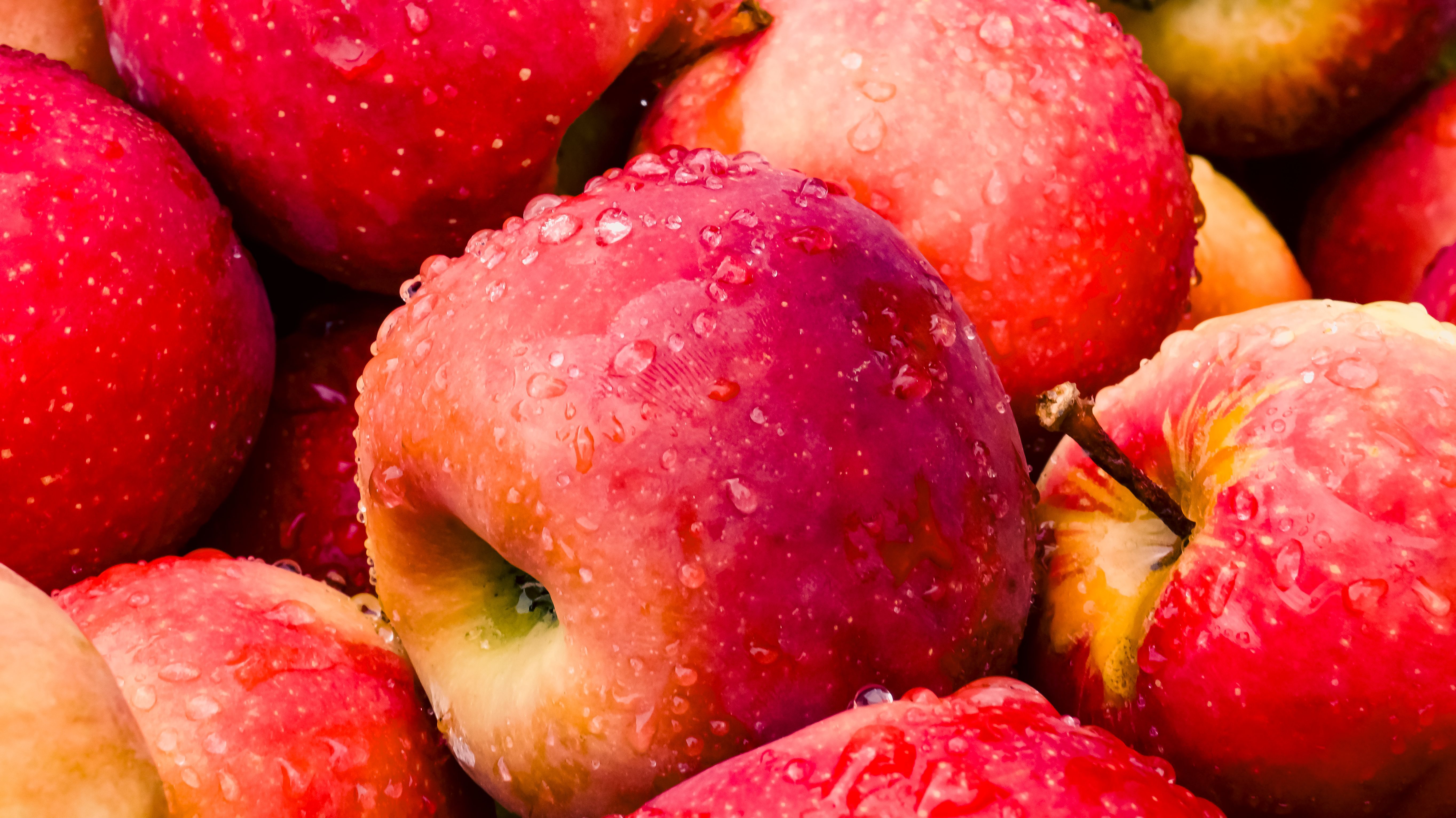 Fresh Red Apples with Water Droplets · Free Stock Photo