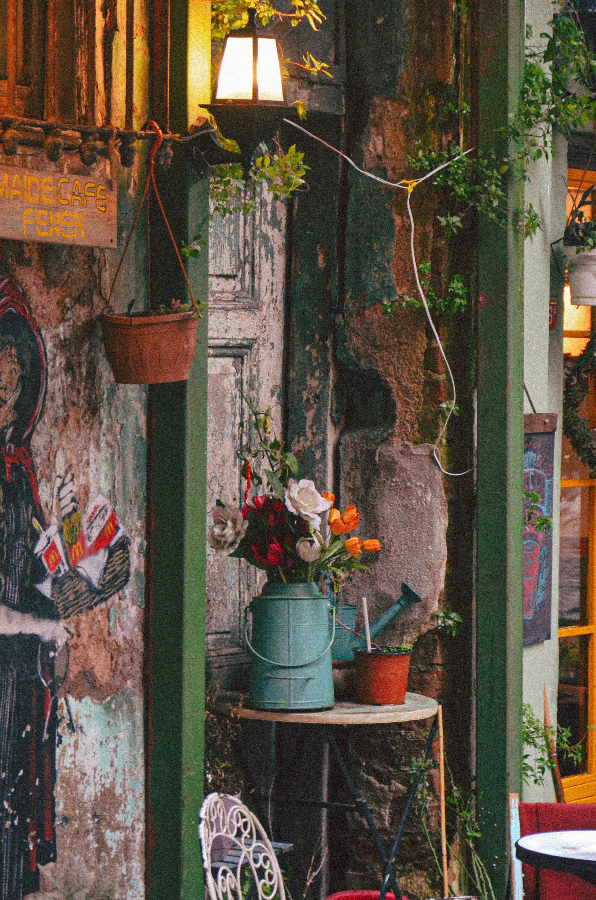 Charming Rustic Outdoor Cafe with Plants · Free Stock Photo