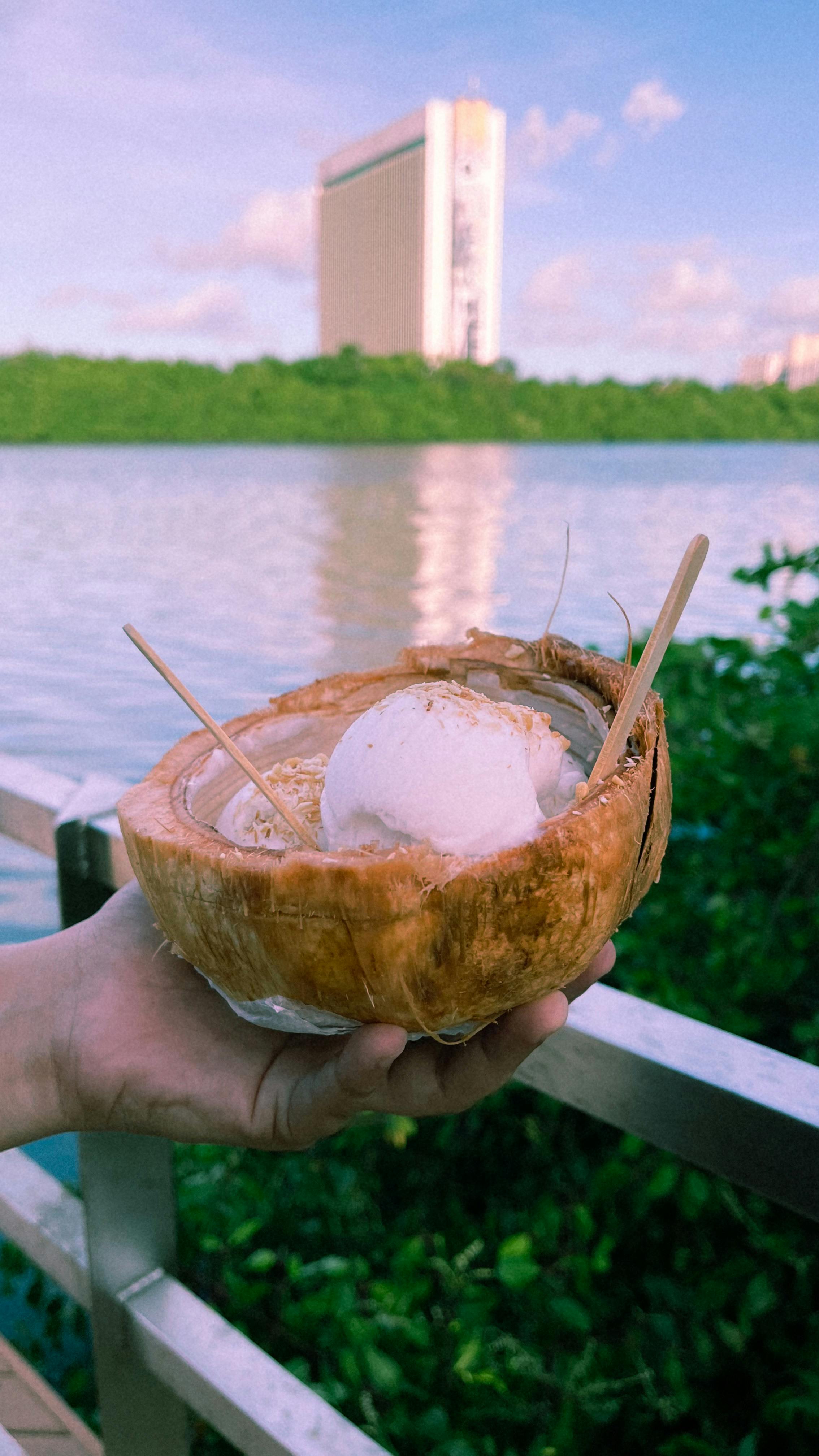 Coconut Eksport Photos, Download The BEST Free Coconut Eksport Stock ...