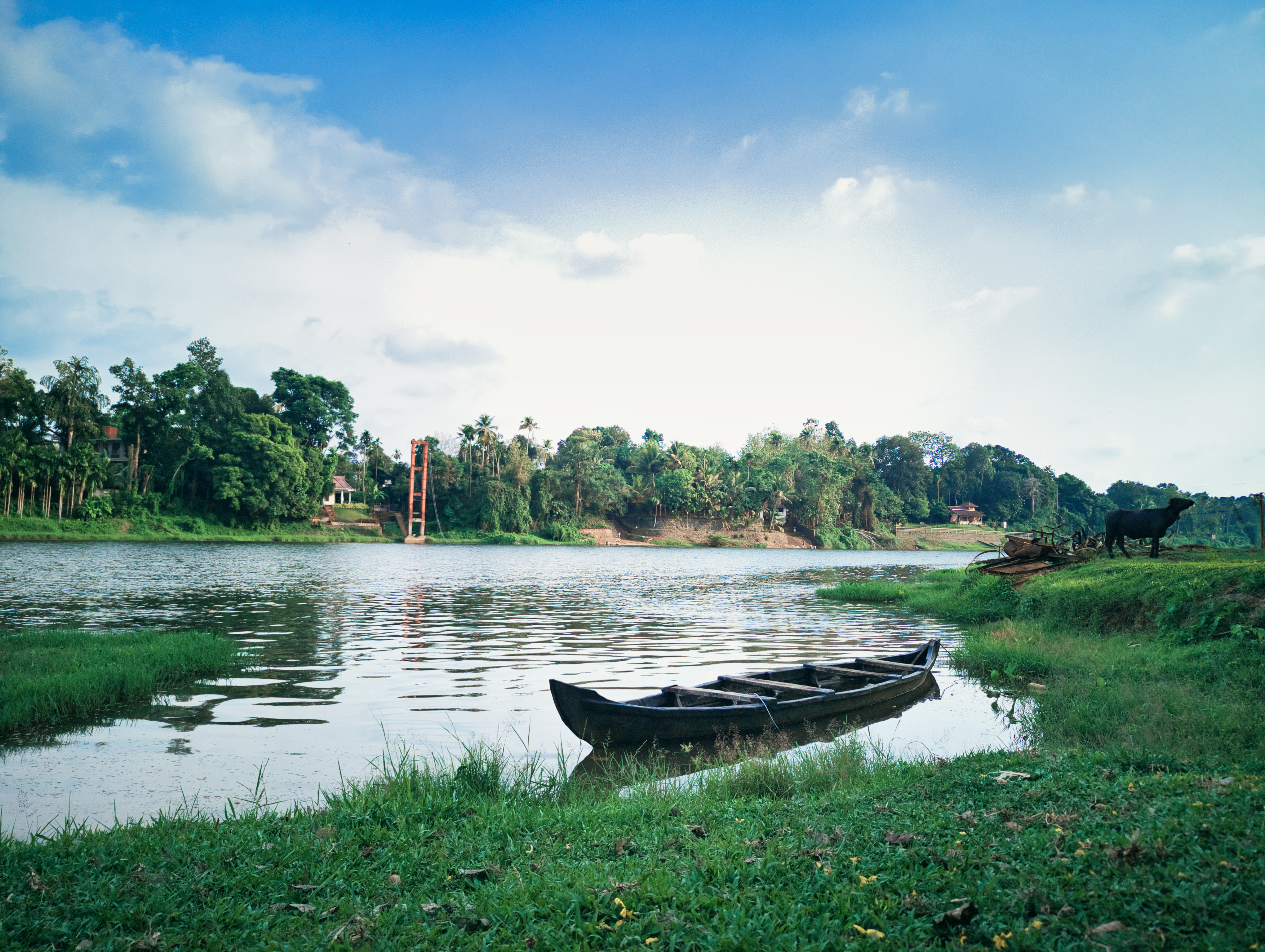 Serene River Landscape in Ramamangalam, Kerala · Free Stock Photo