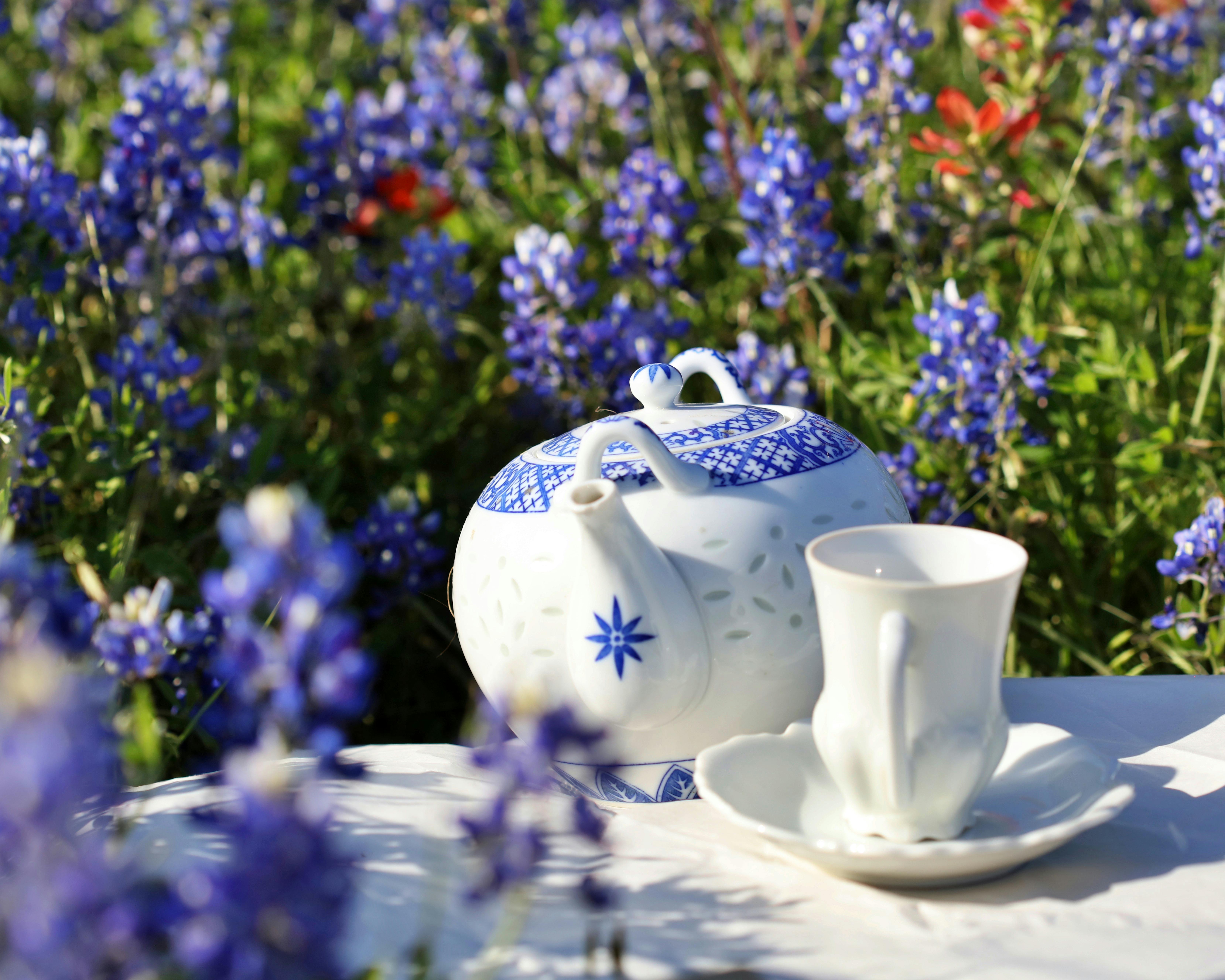 Elegant Tea Set Amongst Texas Wildflowers · Free Stock Photo