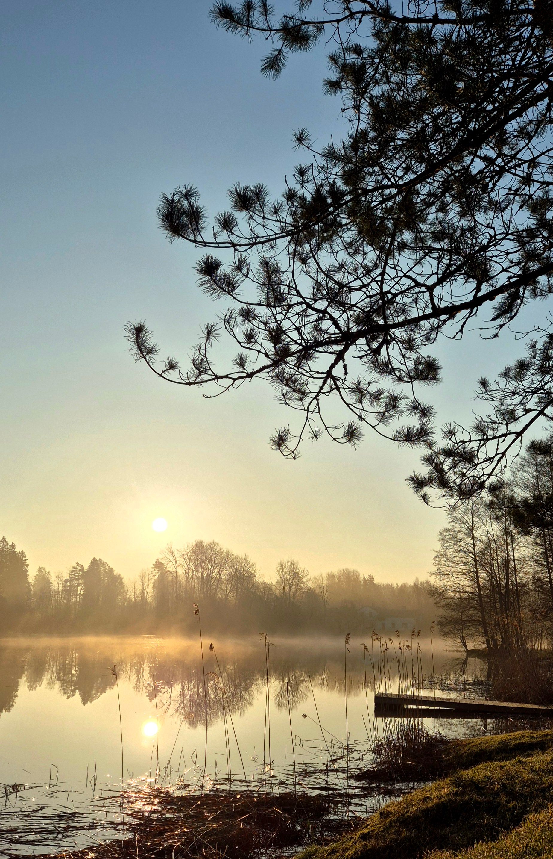 Foto de stock gratuita sobre agua, agua quieta, al aire libre, amanecer ...
