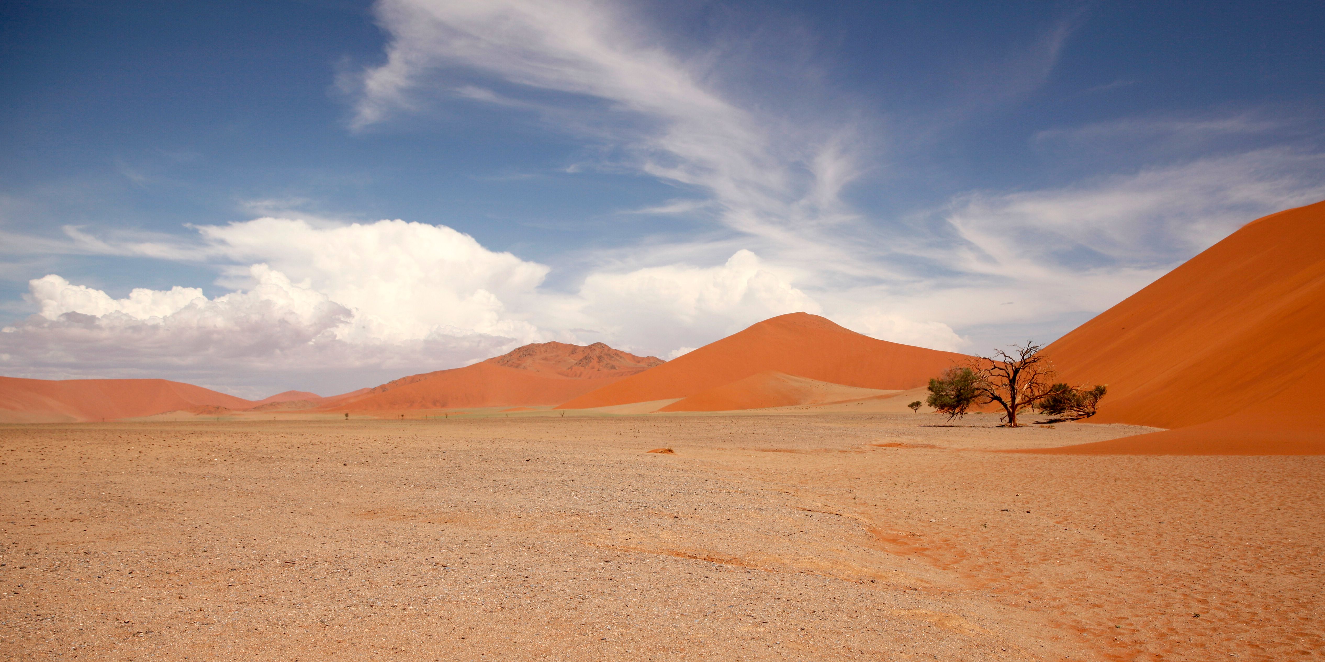 Majestic Sand Dunes in Namib Desert Landscape · Free Stock Photo