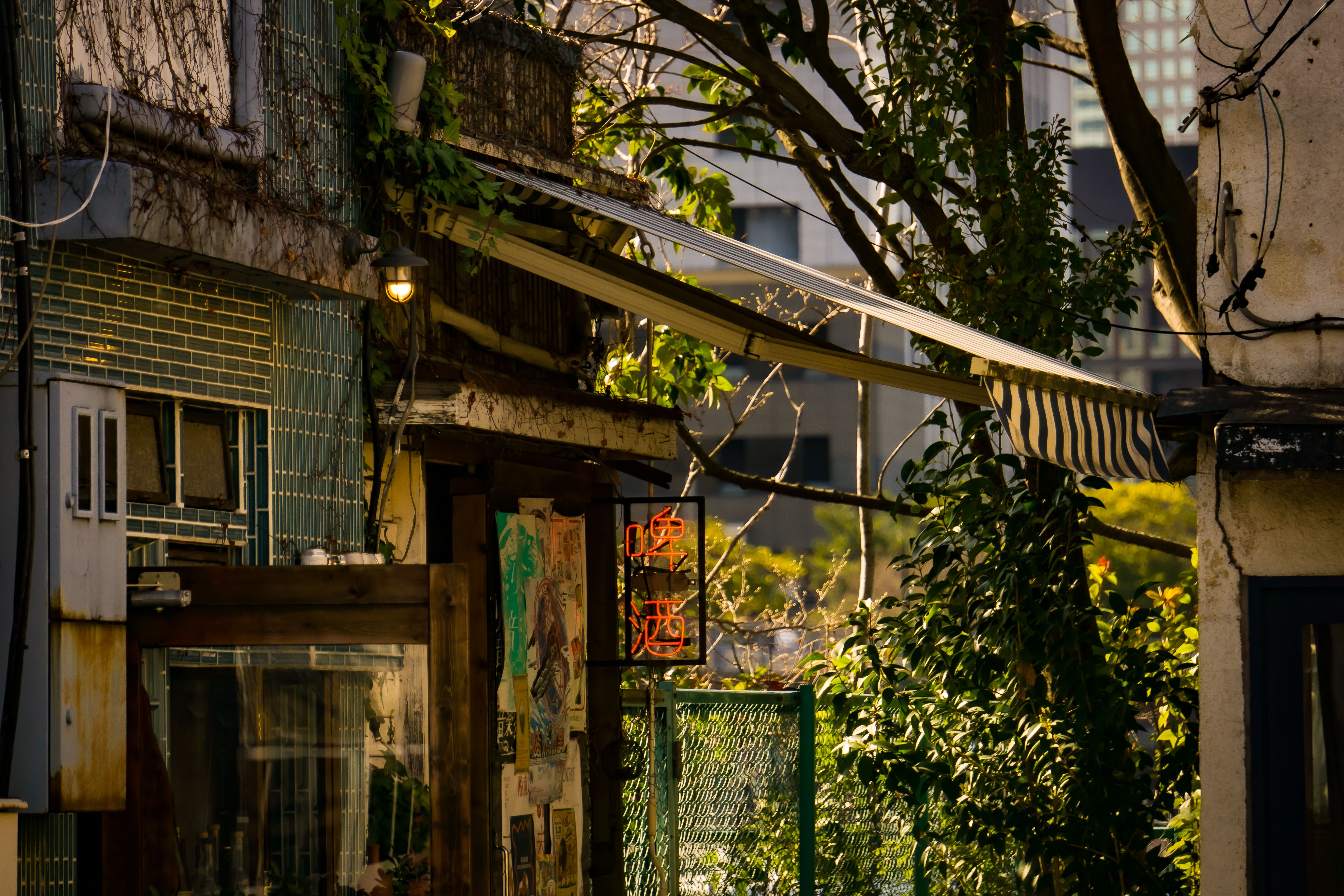 Charming Japanese Street Corner with Neon Sign · Free Stock Photo